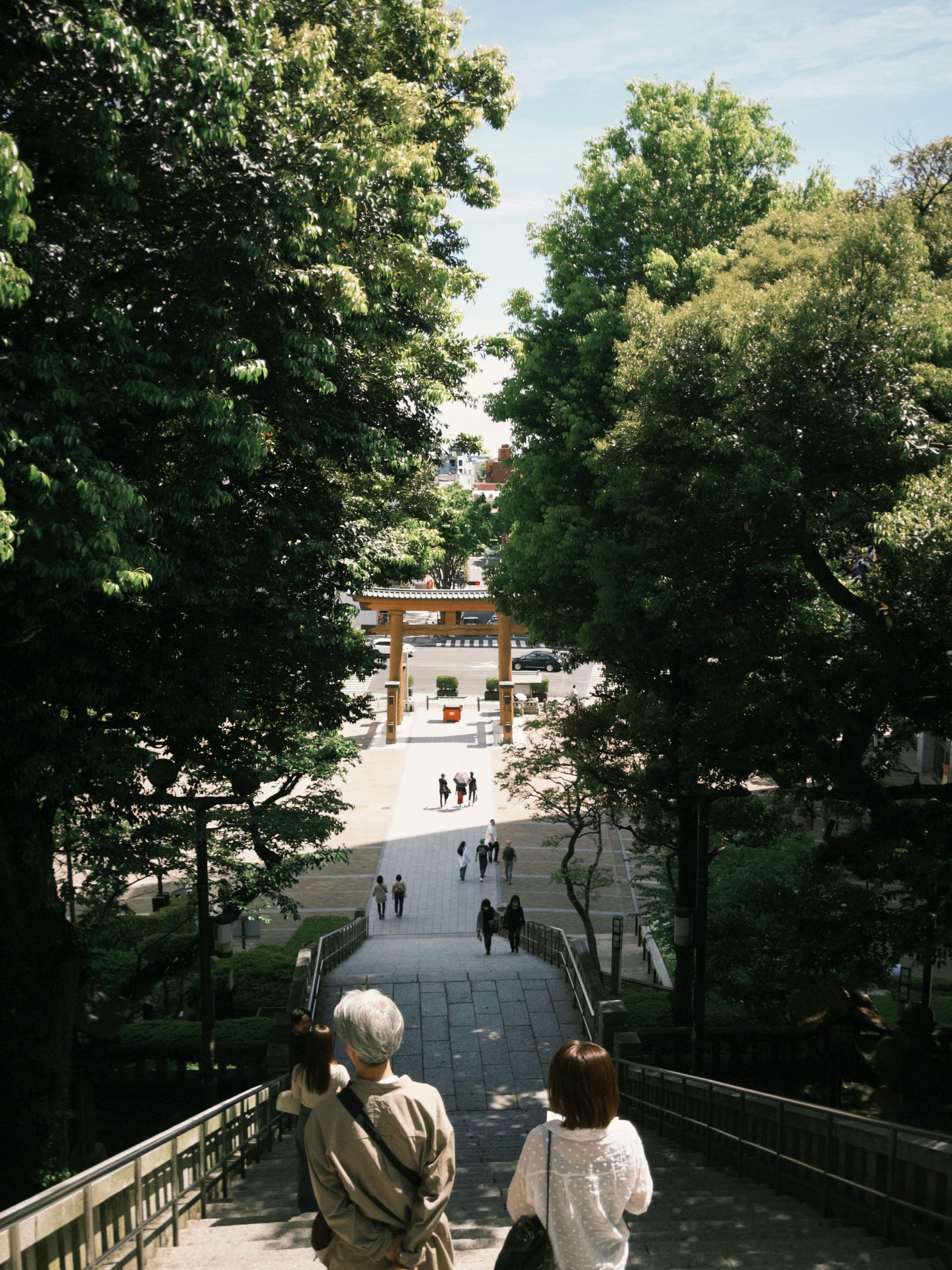 Shady Photos, Download The BEST Free Shady Stock Photos & HD Images