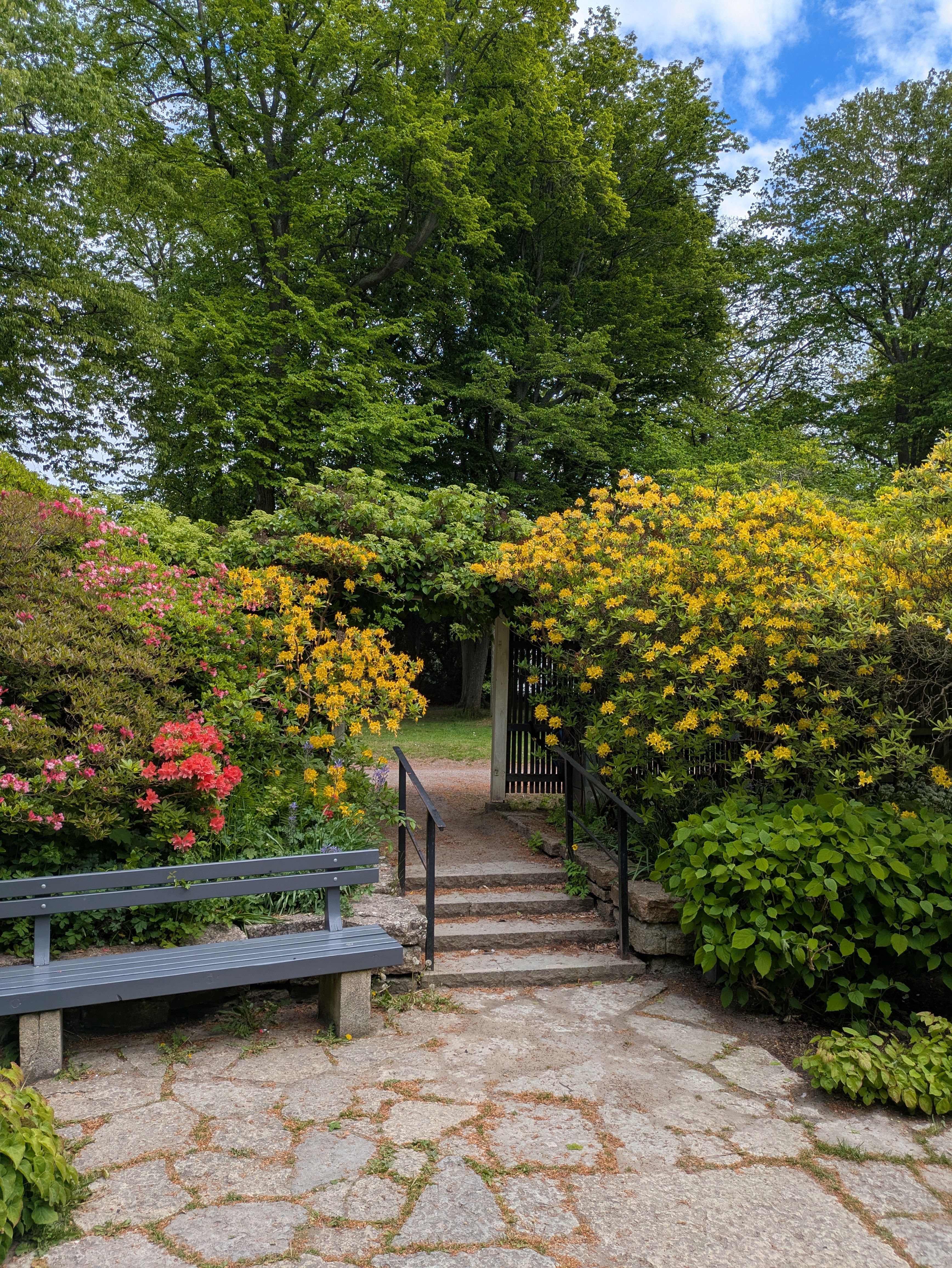 Entrada Colorida Al Jardín Con Flores Florecientes · Foto de stock gratuita
