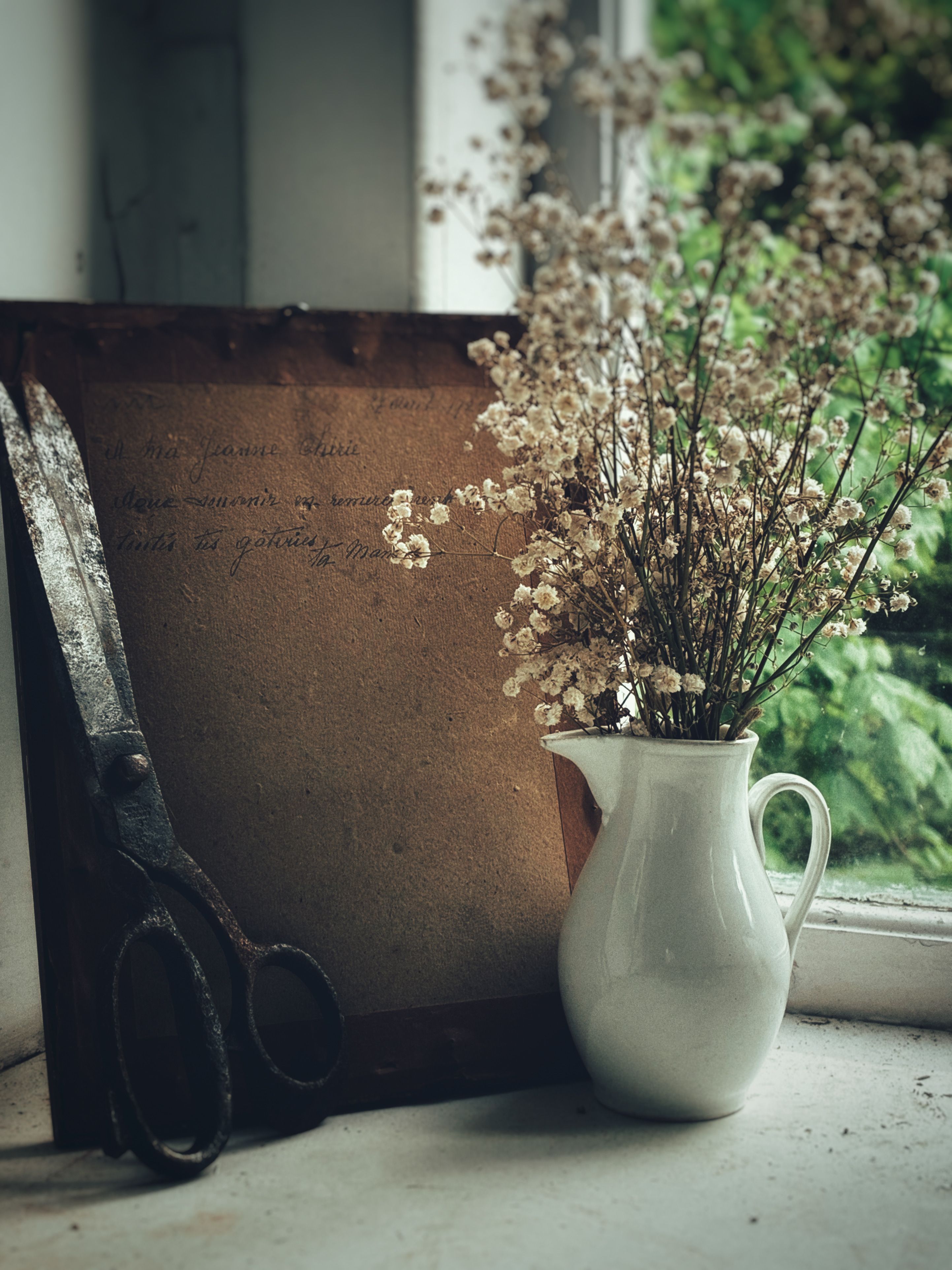 Short Story Photos, Download The BEST Free Short Story Stock Photos ...