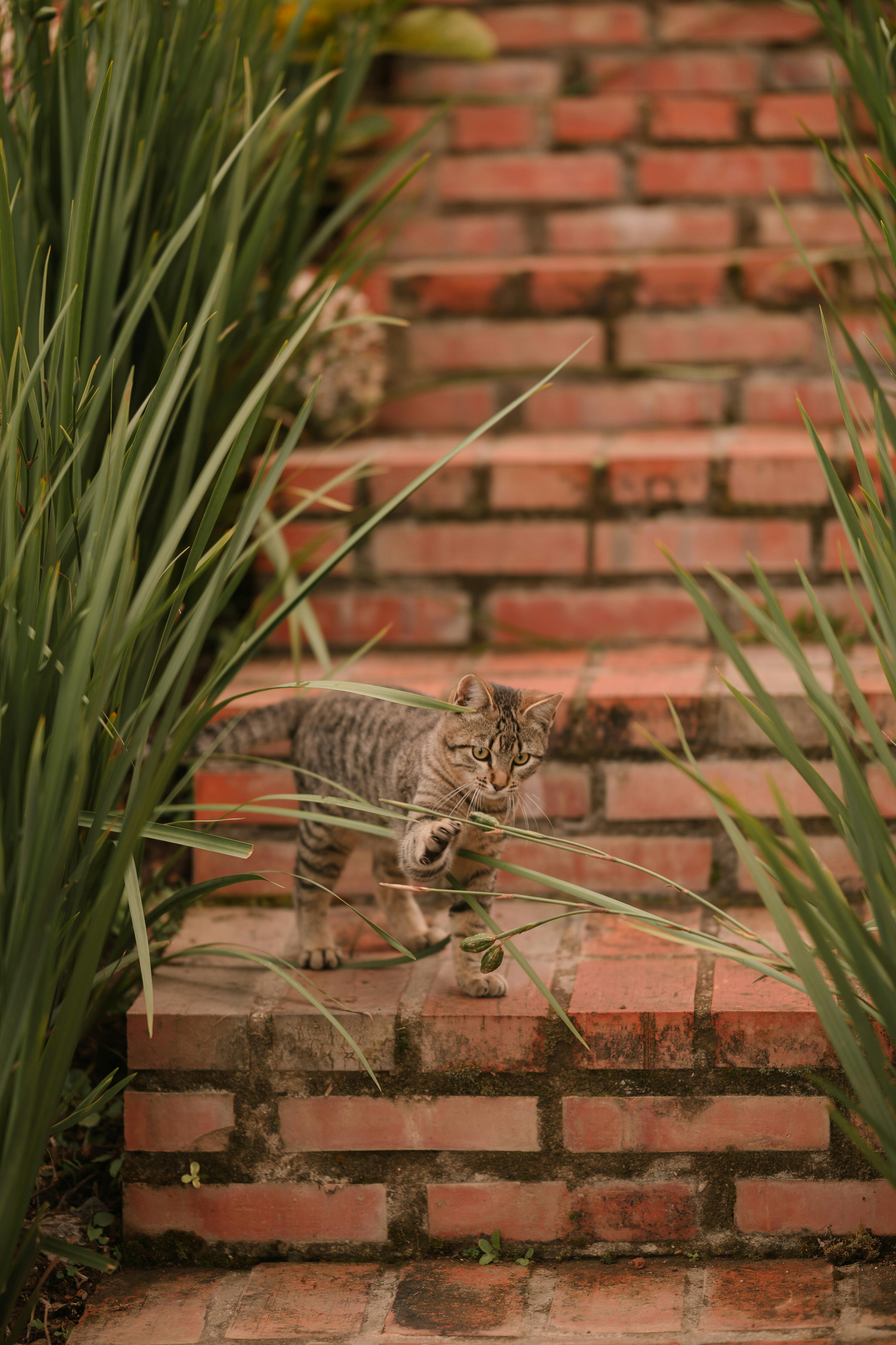 Consistent Small Steps Photos, Download The BEST Free Consistent Small ...