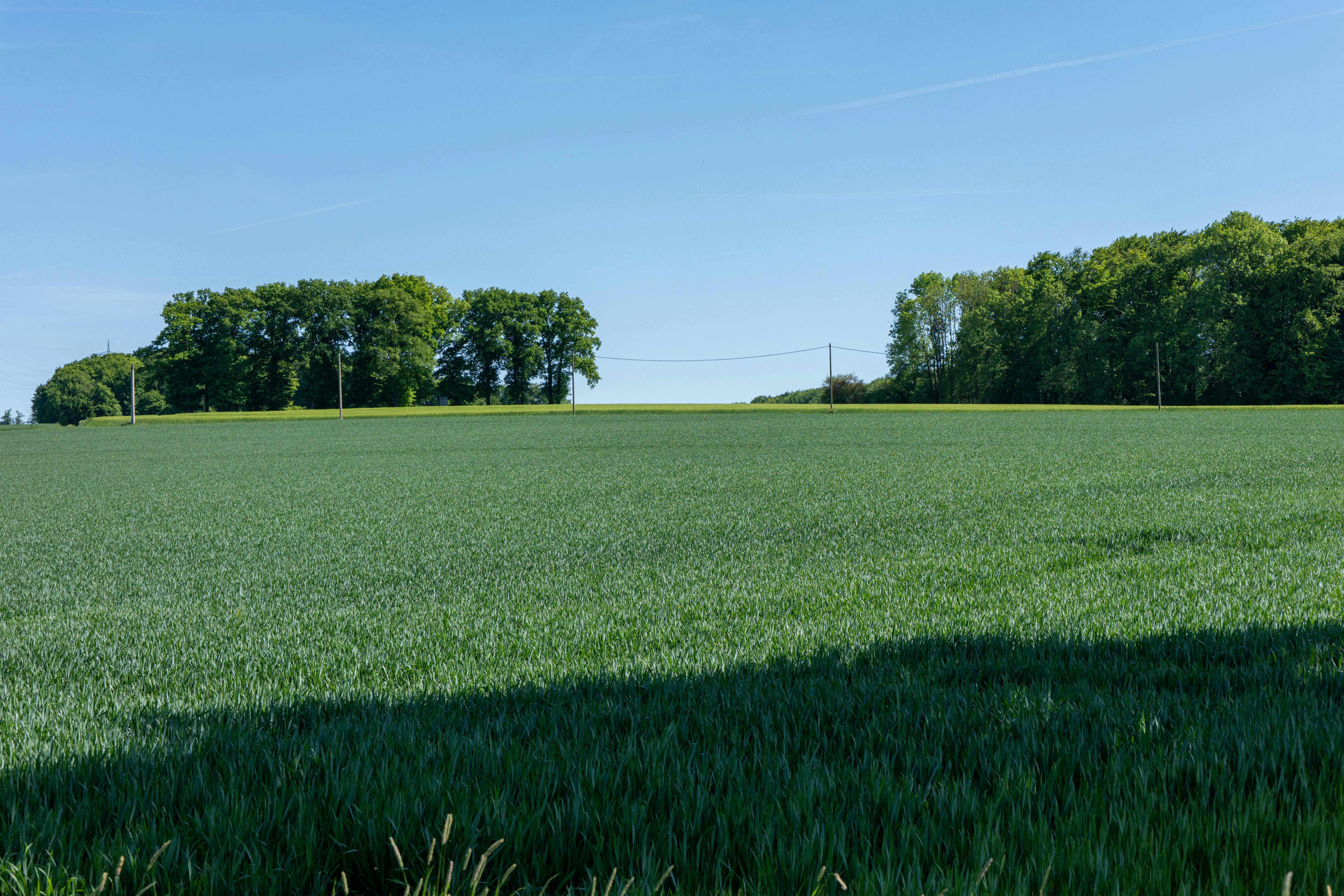 Land And Nature Photos, Download The BEST Free Land And Nature Stock ...