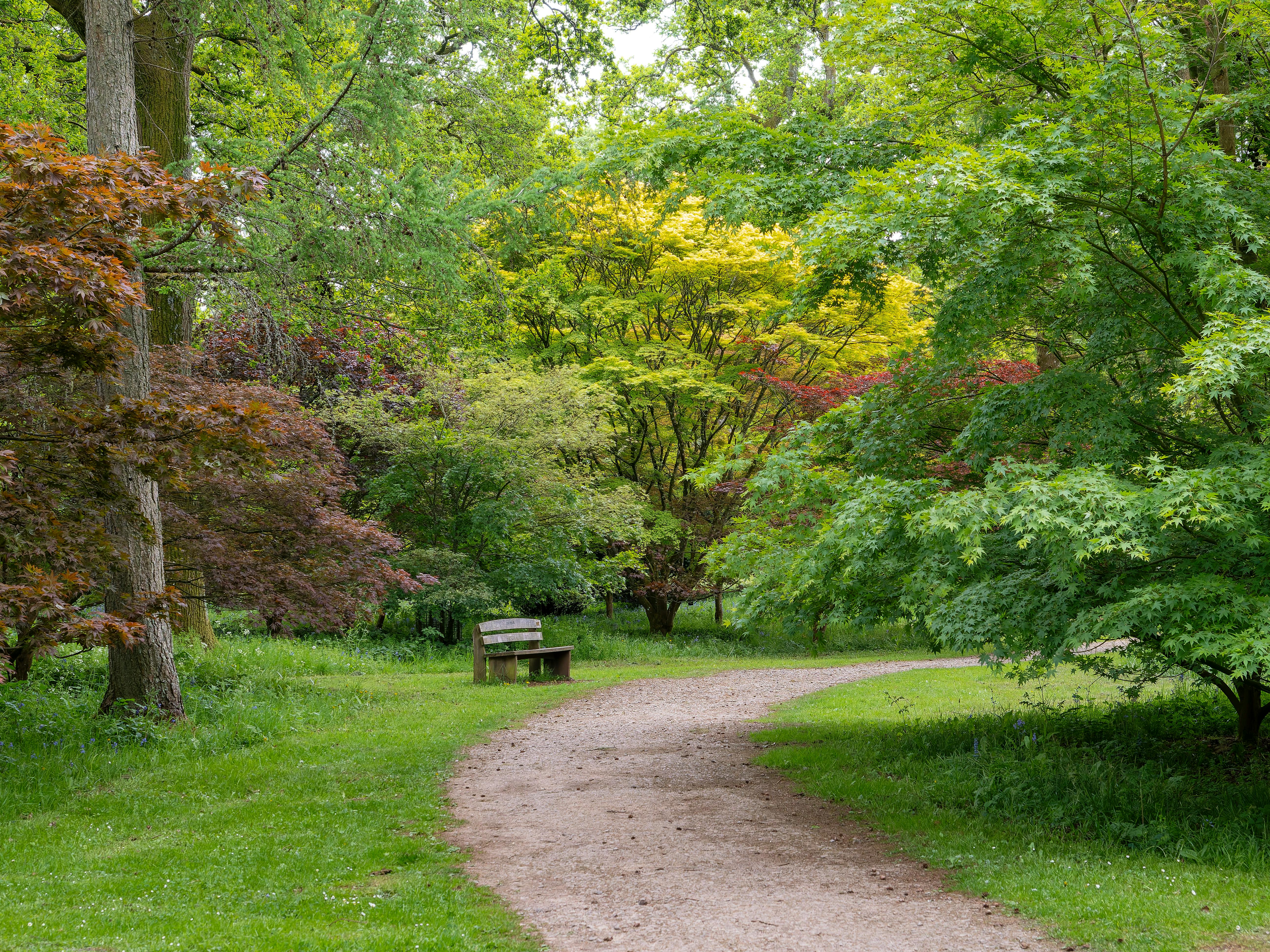 Contemplative Space Photos, Download The BEST Free Contemplative Space ...