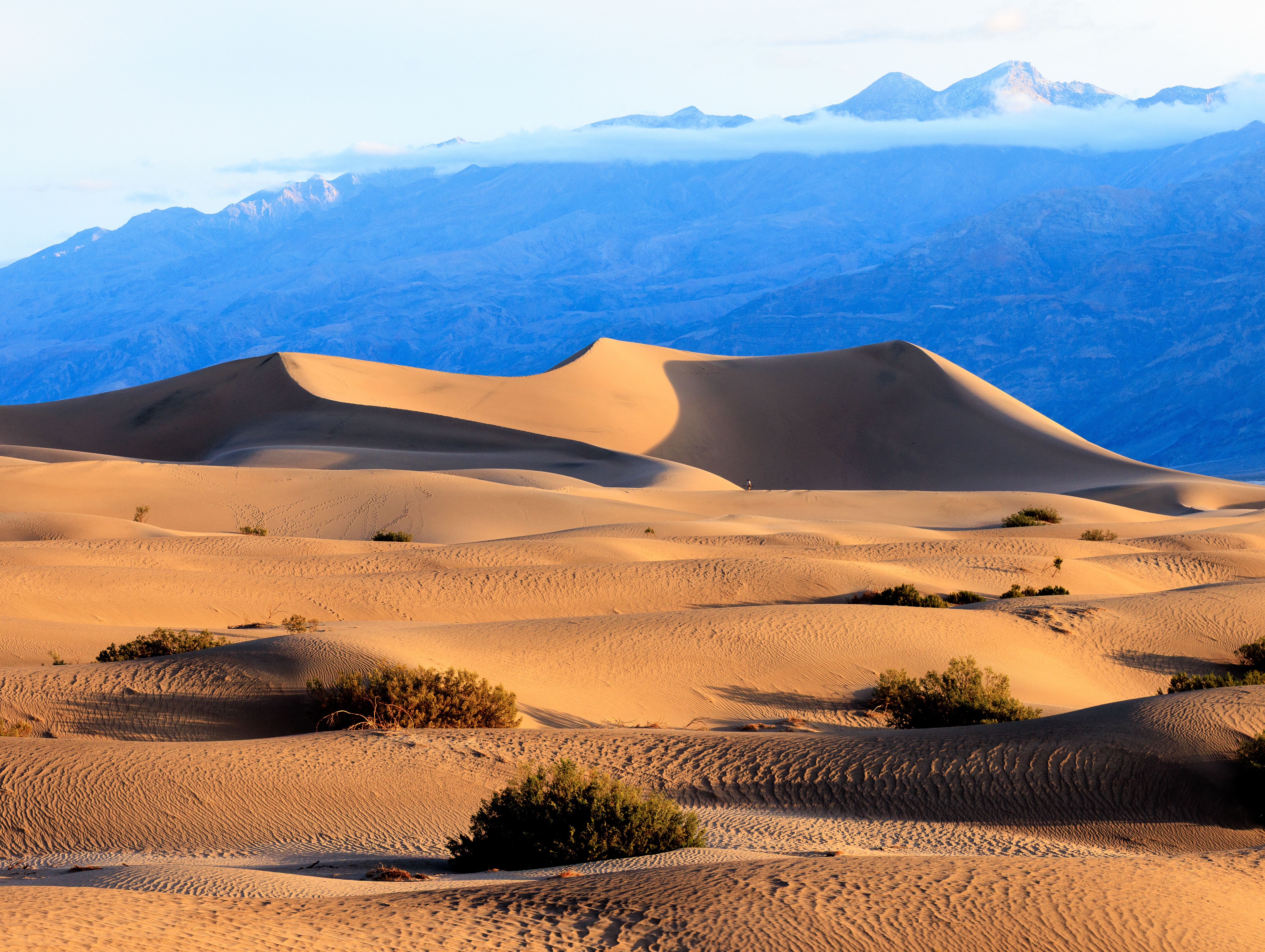 Golden Sand Dunes in Death Valley, California · Free Stock Photo