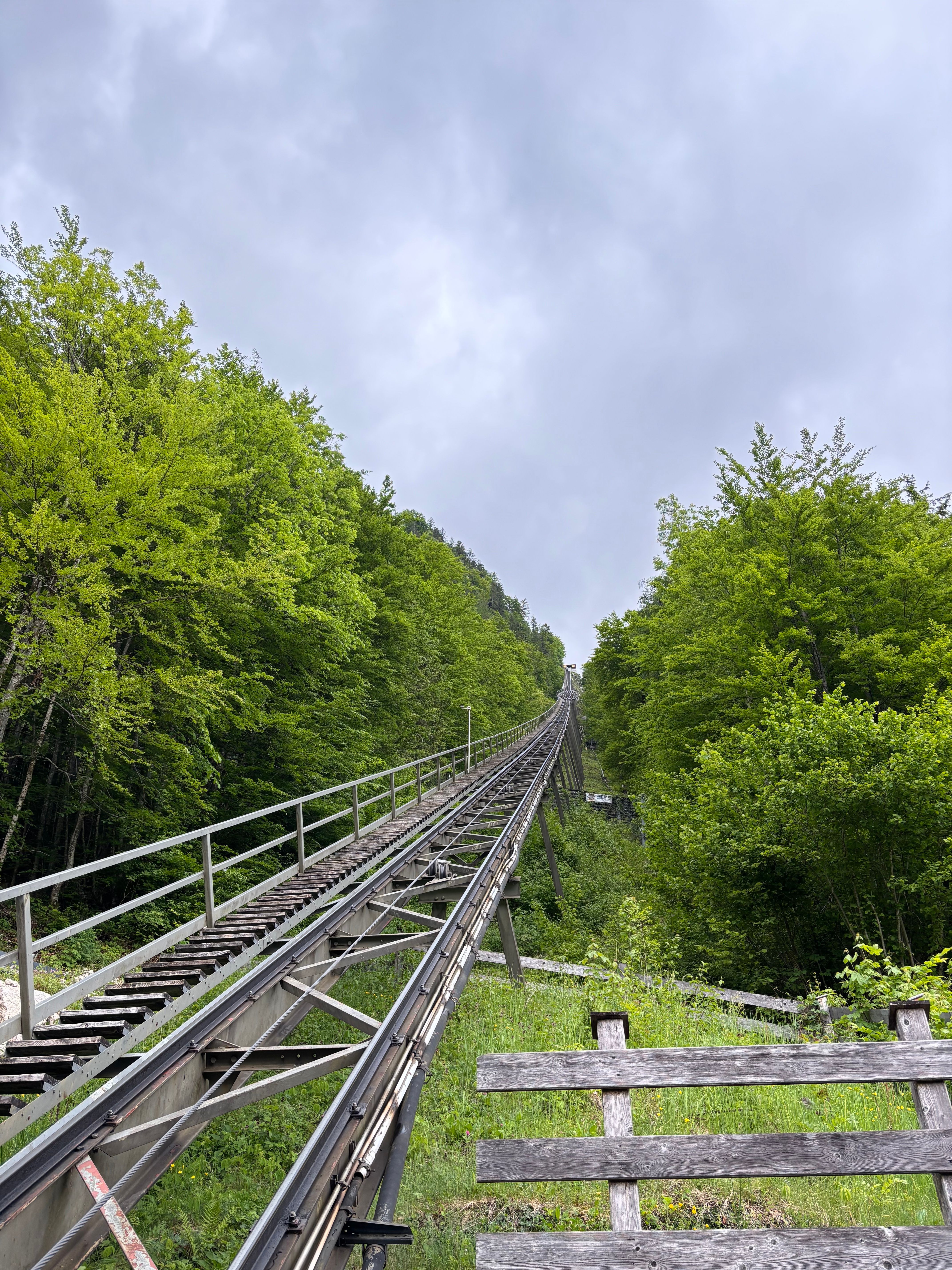 Steep Alpine Funicular Through Lush Forest · Free Stock Photo