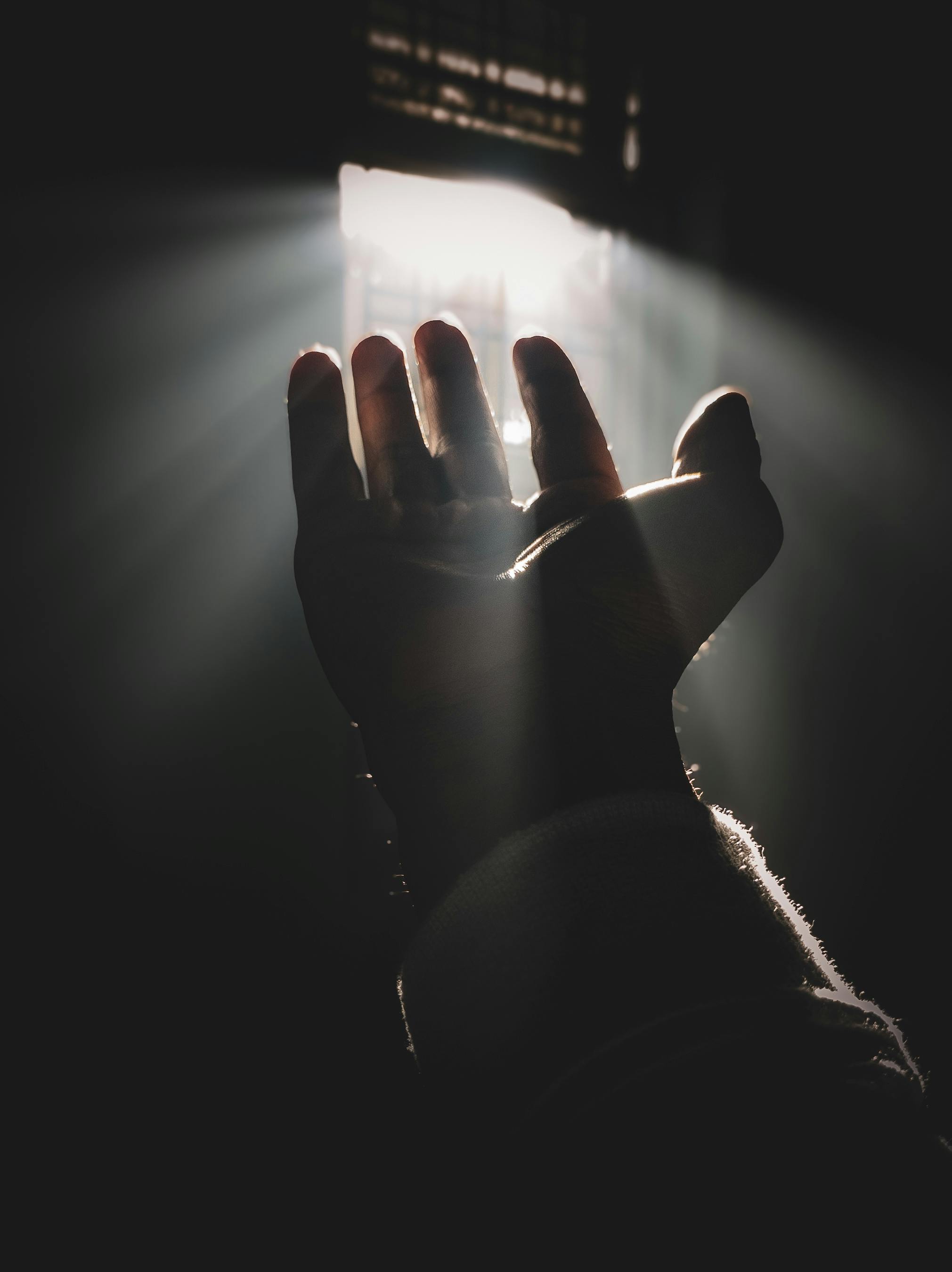 Pixel+Bay Photos, Download The BEST Free Pixel+Bay Stock Photos & HD Images