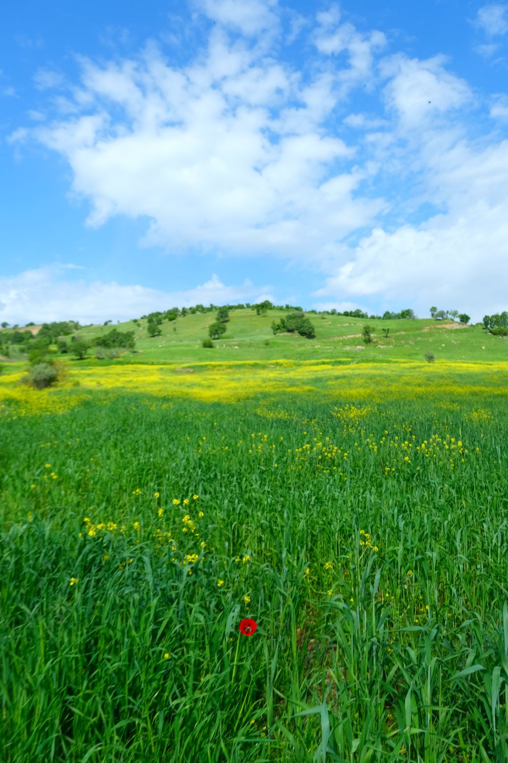 Malerische Grüne Hügel Und Blauer Himmel Landschaft · Kostenloses Stock ...