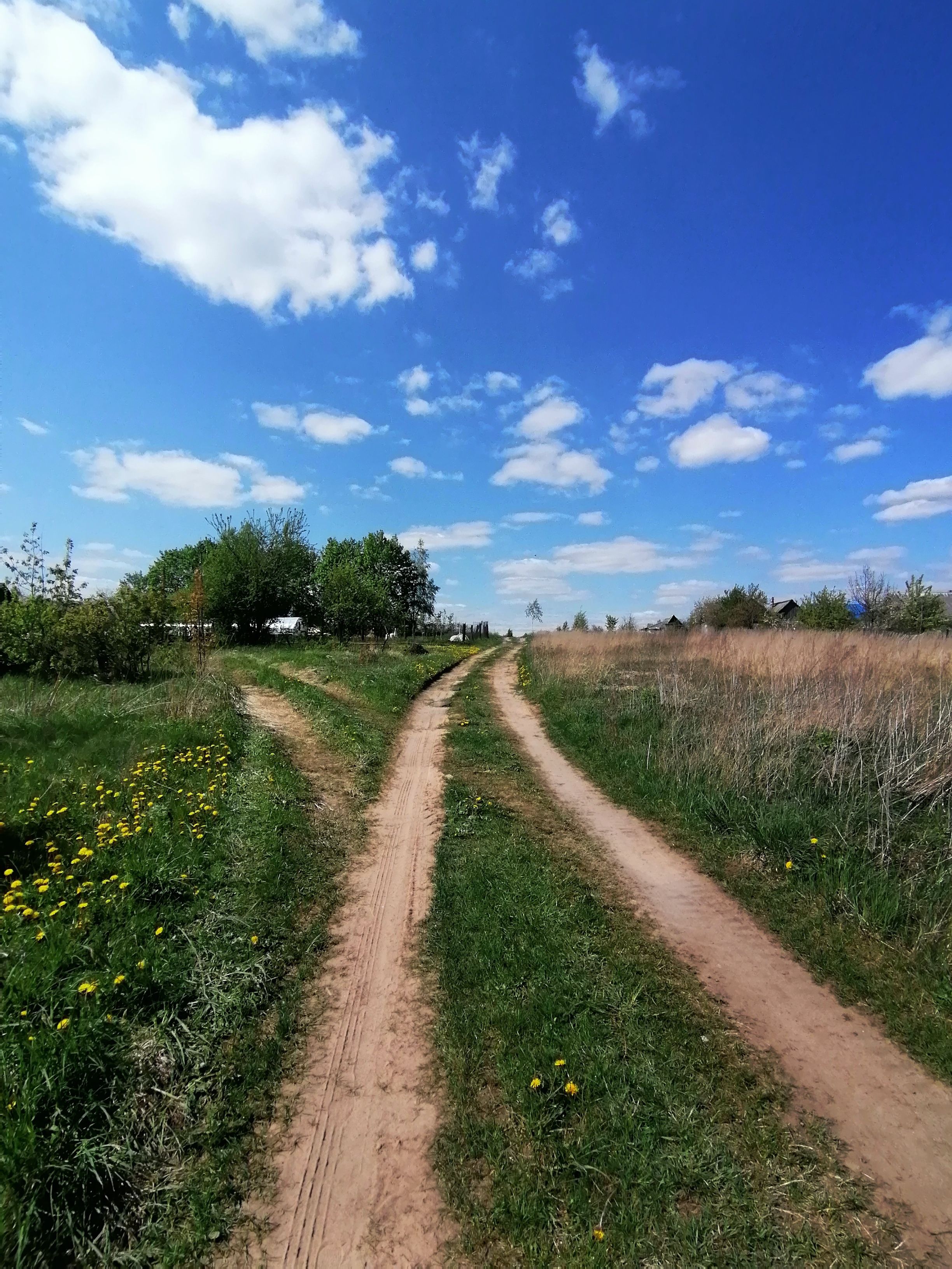 Scenic Village Path under a Blue Sky · Free Stock Photo