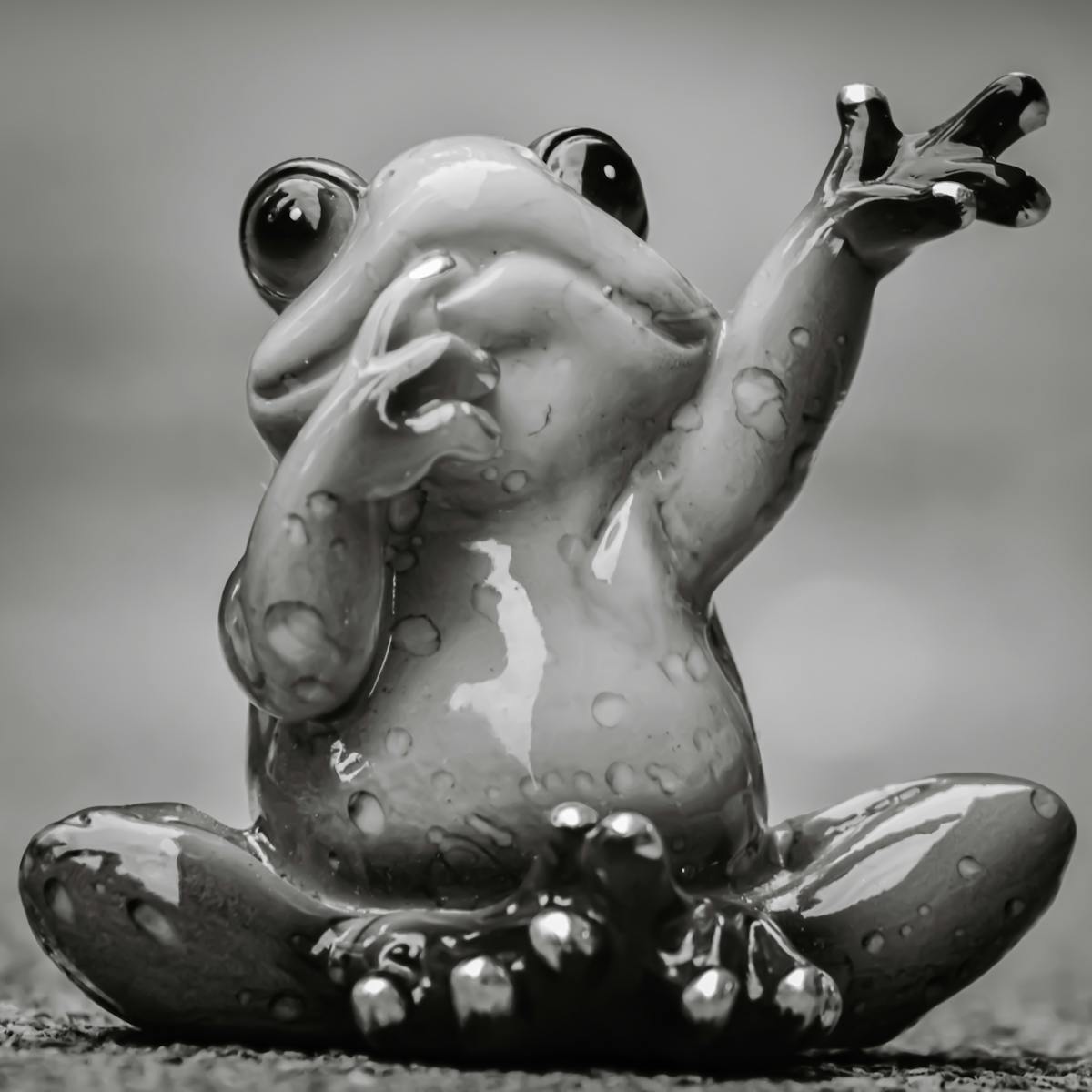 Cute Frog Photos, Download The BEST Free Cute Frog Stock Photos & HD Images