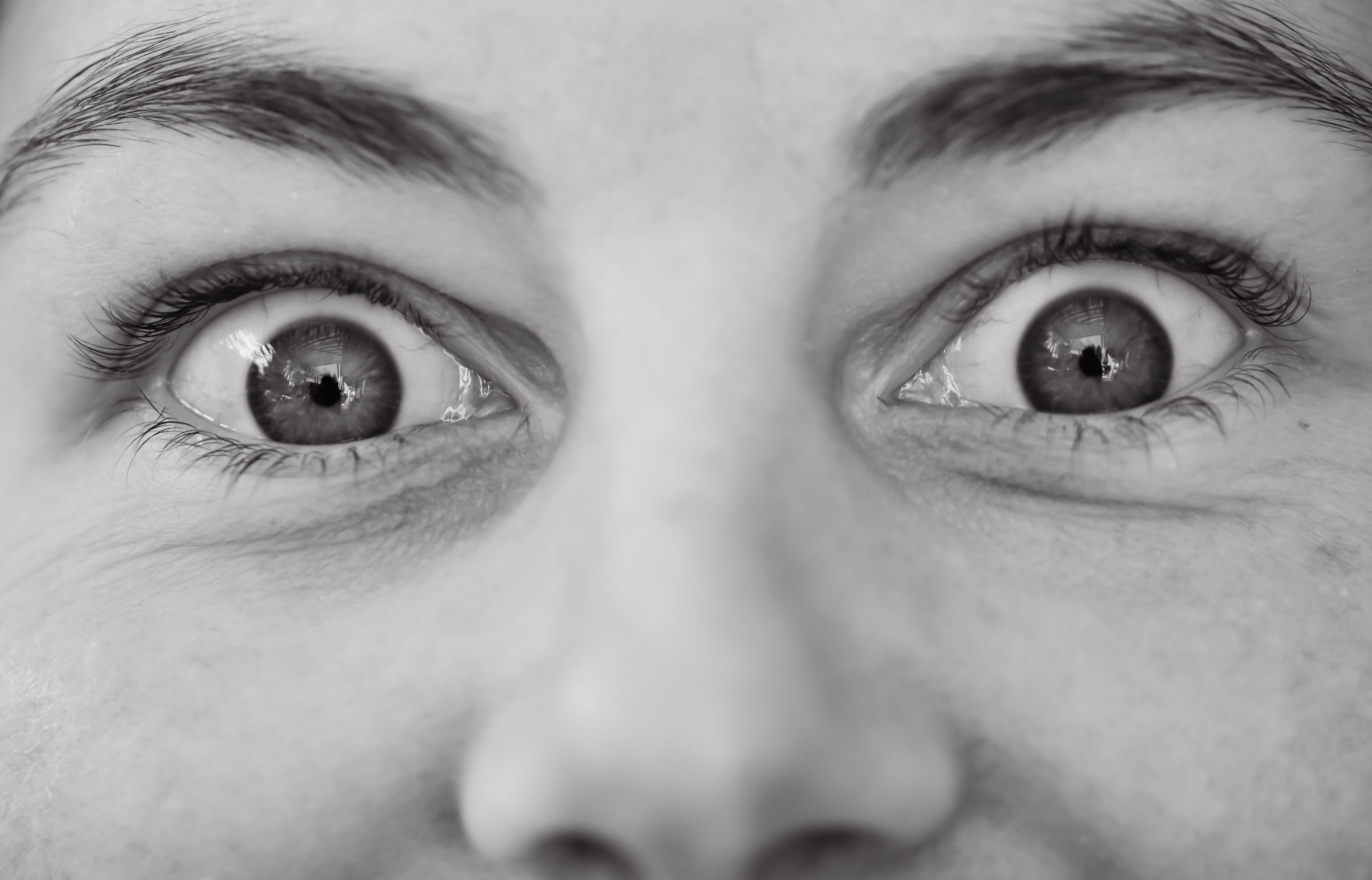 Anatomy Of Eye Photos, Download The BEST Free Anatomy Of Eye Stock ...