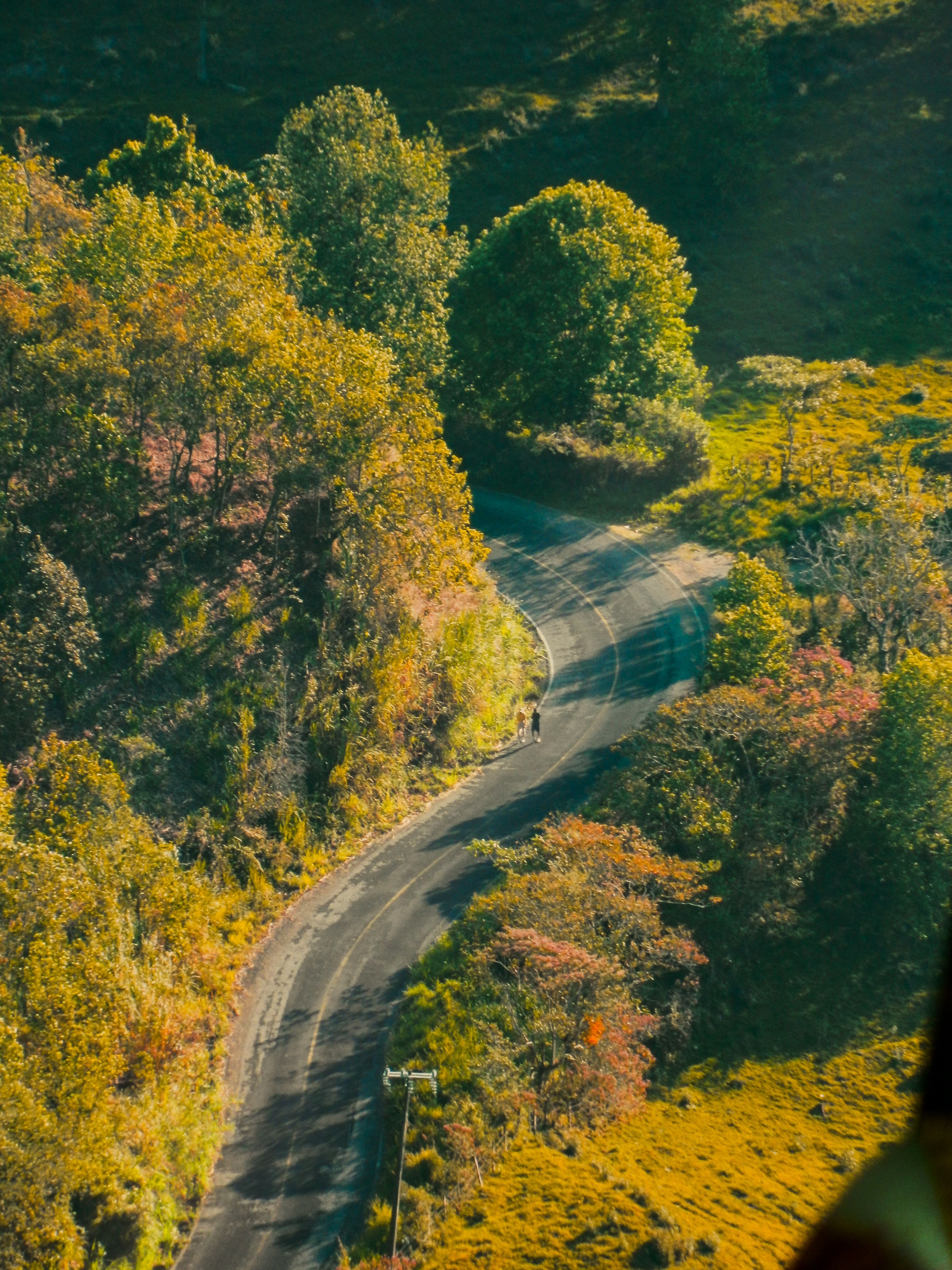 Backroads Photos, Download The BEST Free Backroads Stock Photos & HD Images