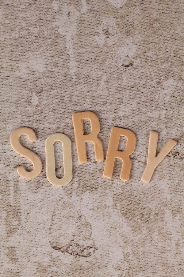 Sorry Photos, Download The BEST Free Sorry Stock Photos & HD Images