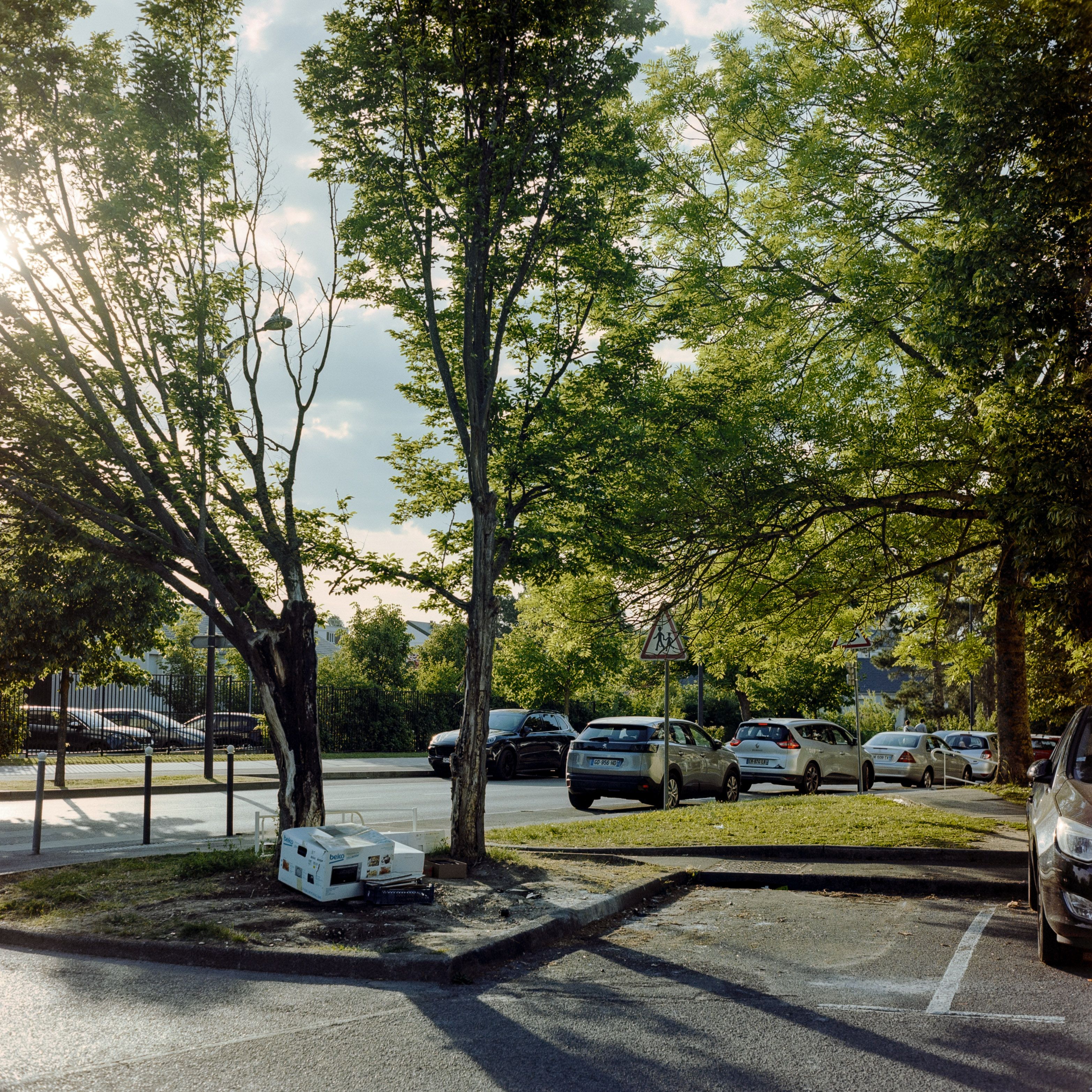Sunlit Trees and Cars in a Parking Lot · Free Stock Photo