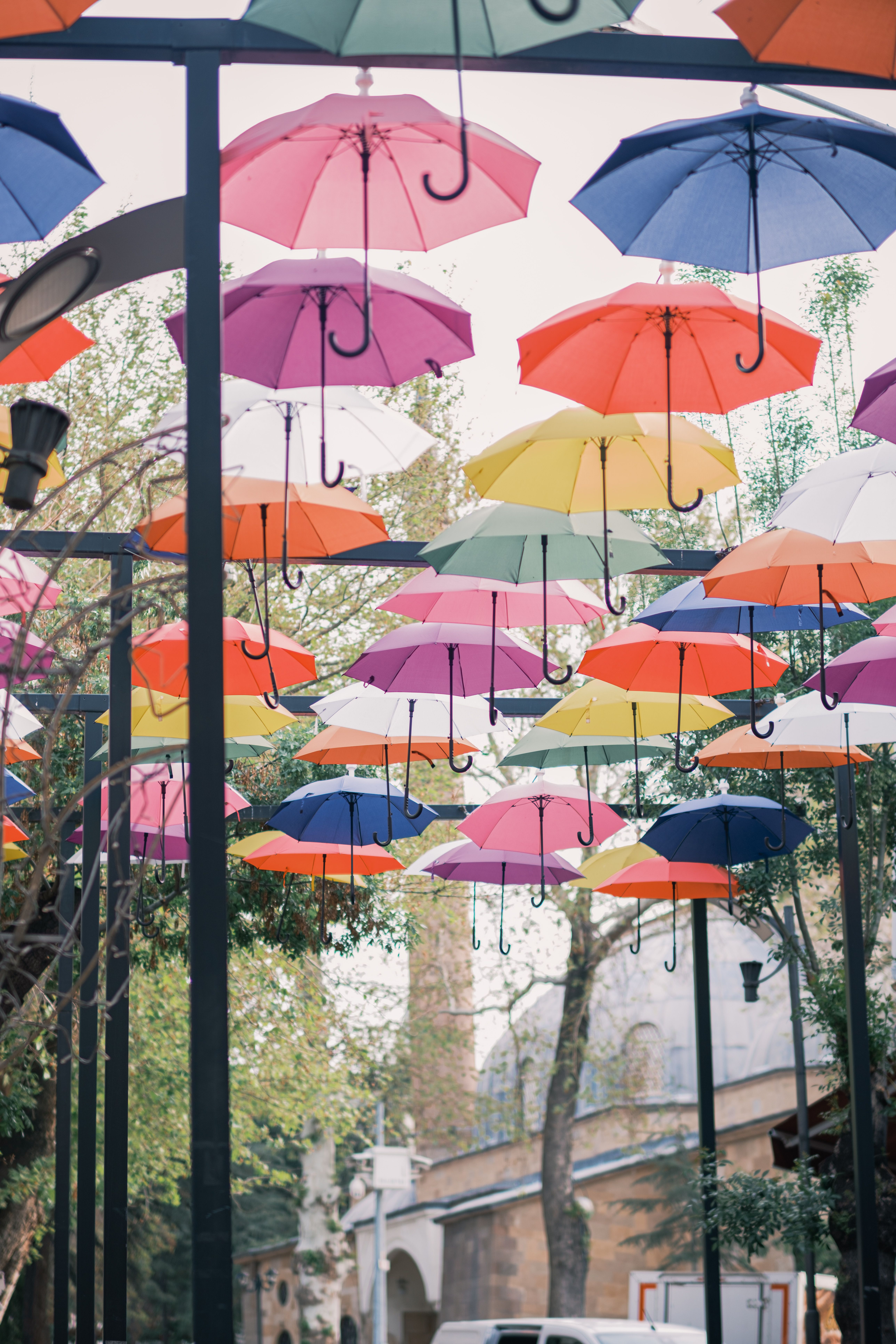 Vibrant Umbrella Installation in Istanbul · Free Stock Photo