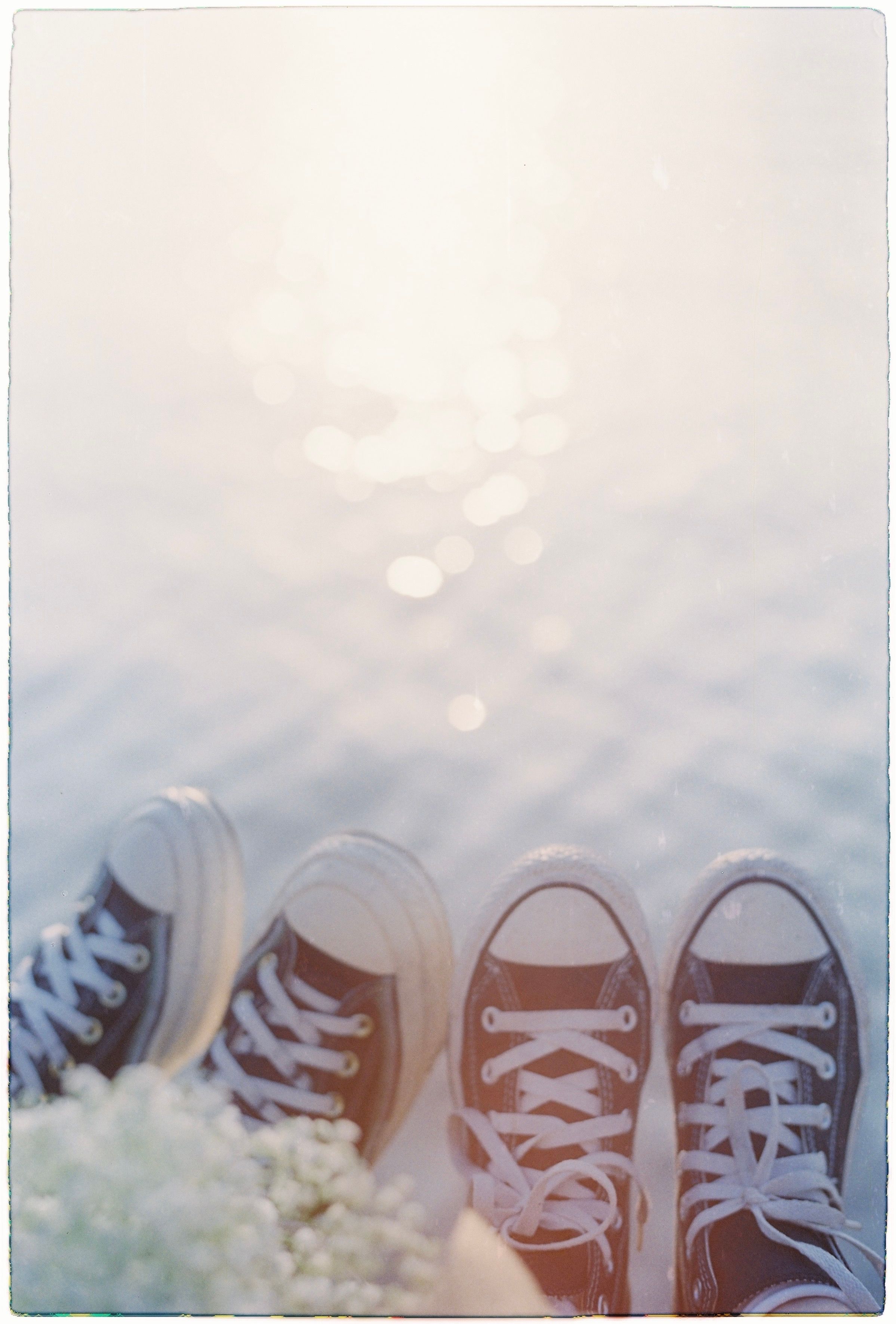 Casual Converse Sneakers Overlooking Water · Free Stock Photo