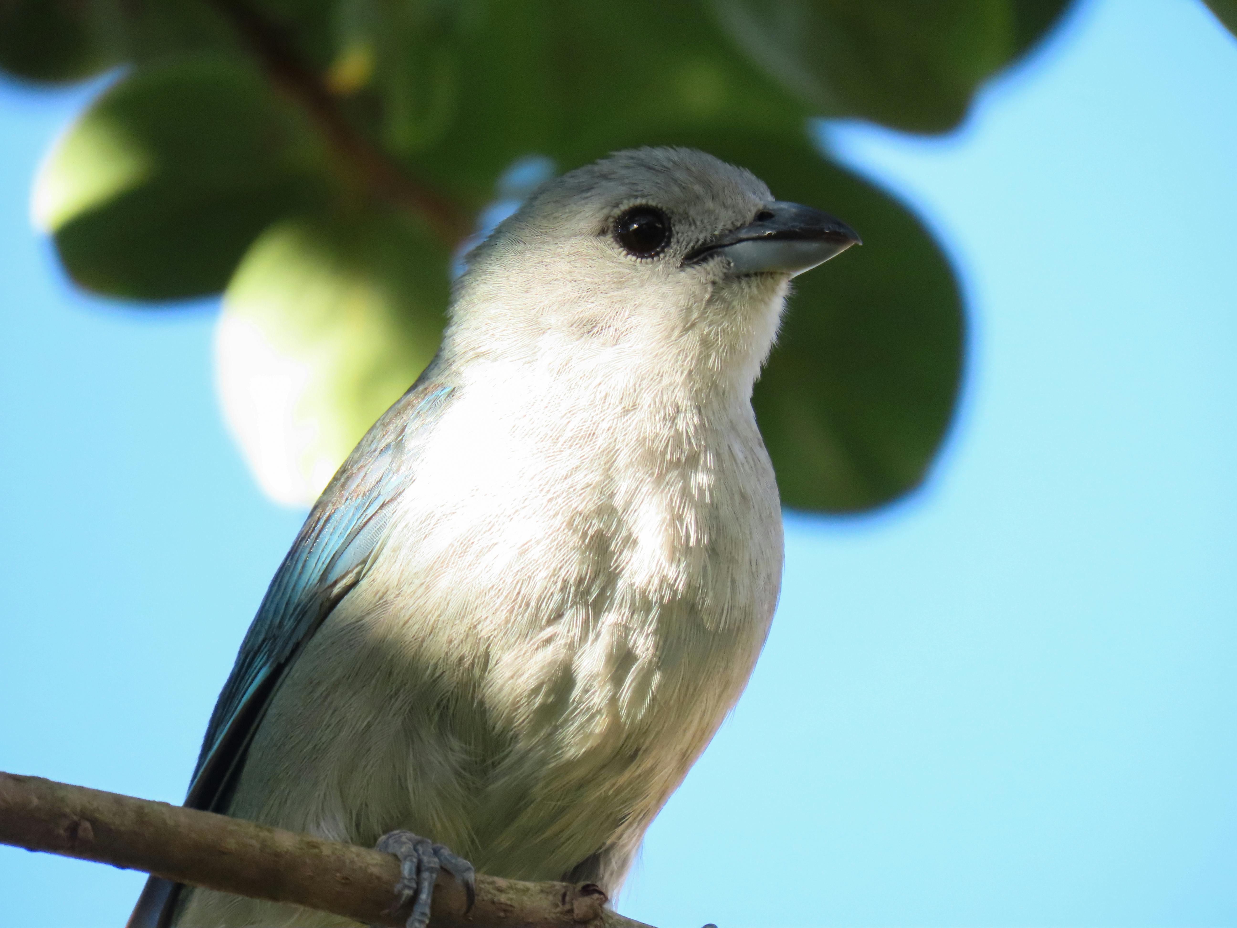 5mb Photo Photos, Download The BEST Free 5mb Photo Stock Photos & HD Images