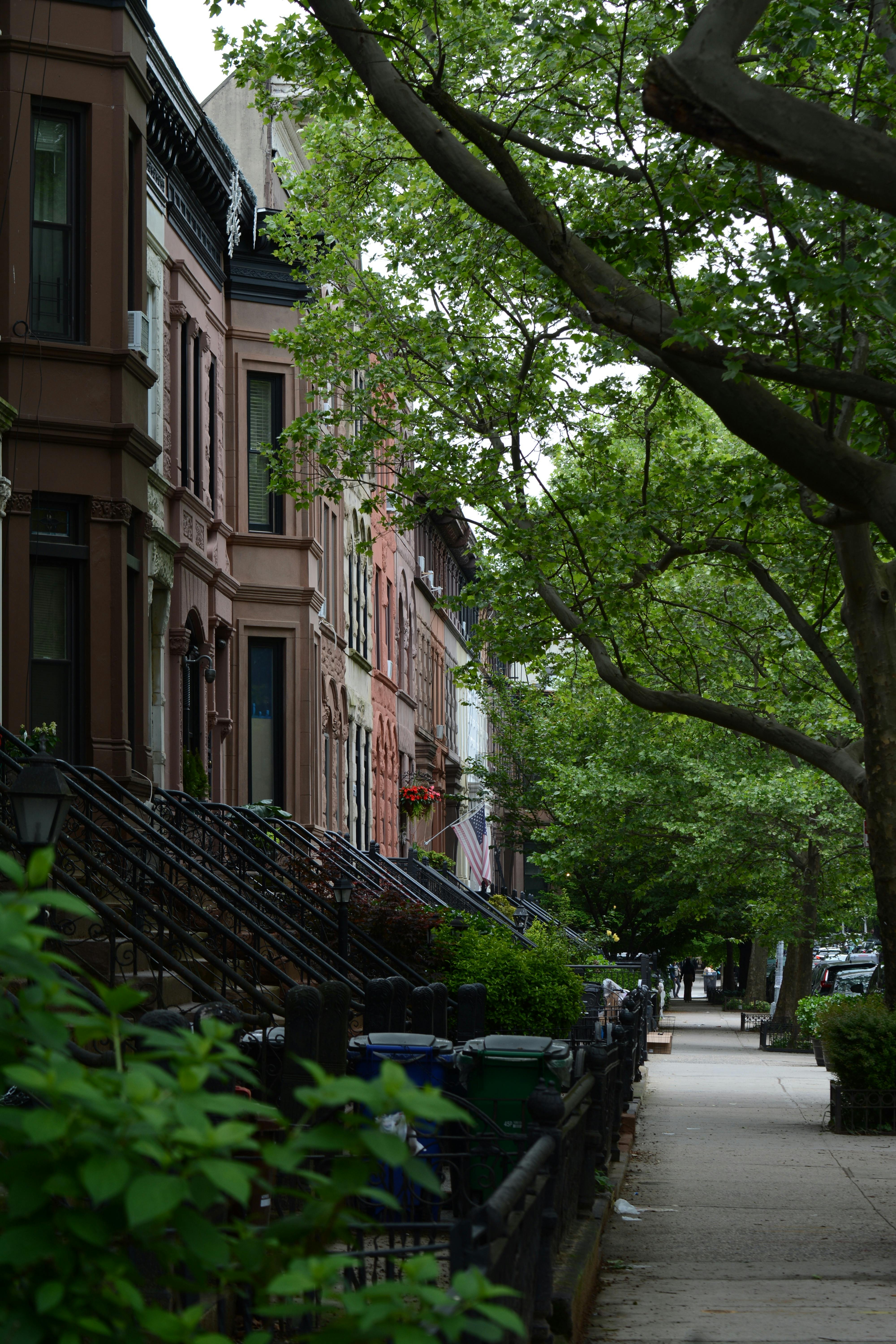 Charming Tree-Lined Urban Street View with Brownstones · Free Stock Photo