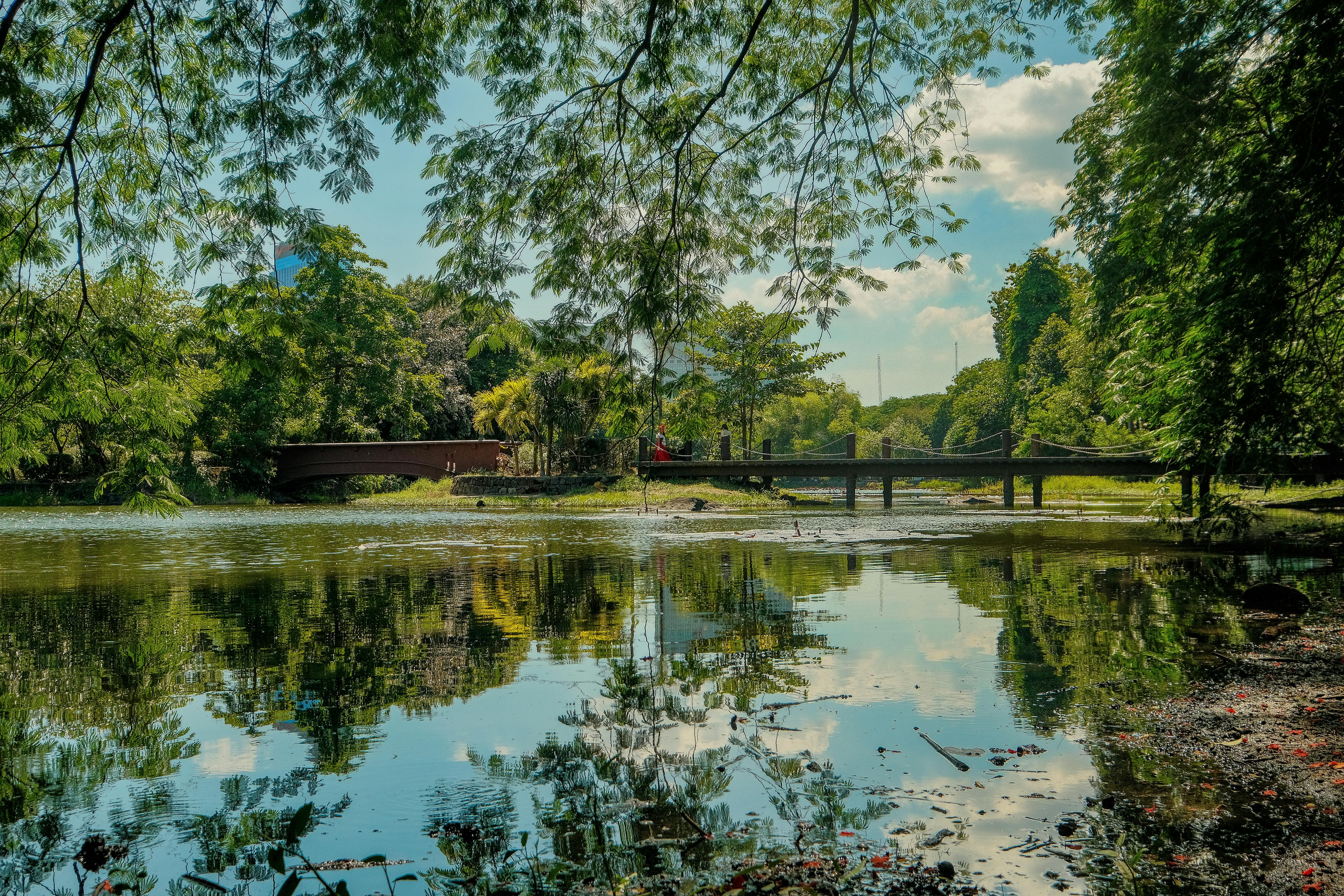 Parkbridge Photos, Download The BEST Free Parkbridge Stock Photos & HD ...