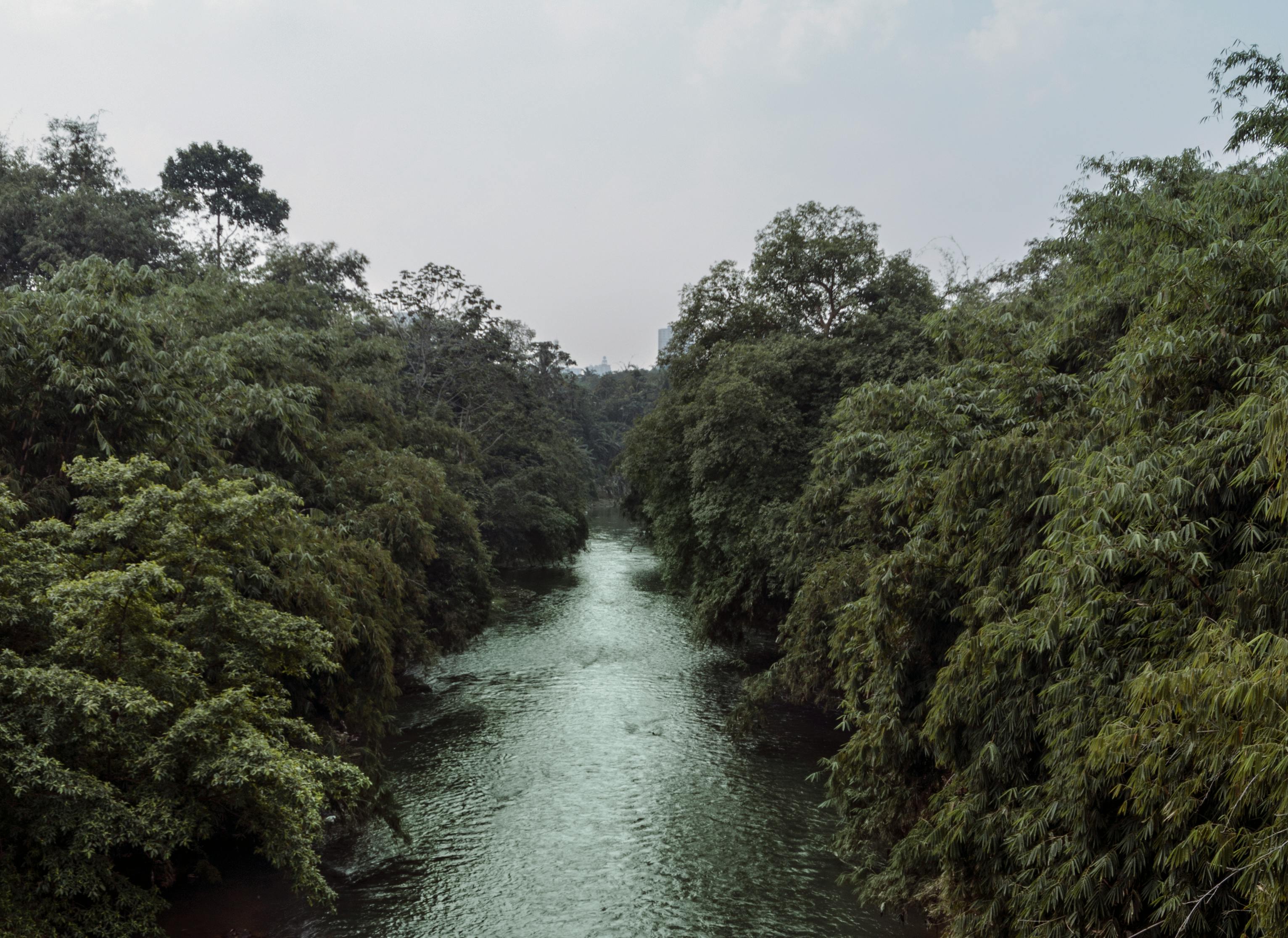 Alam Liar Photos, Download The BEST Free Alam Liar Stock Photos & HD Images