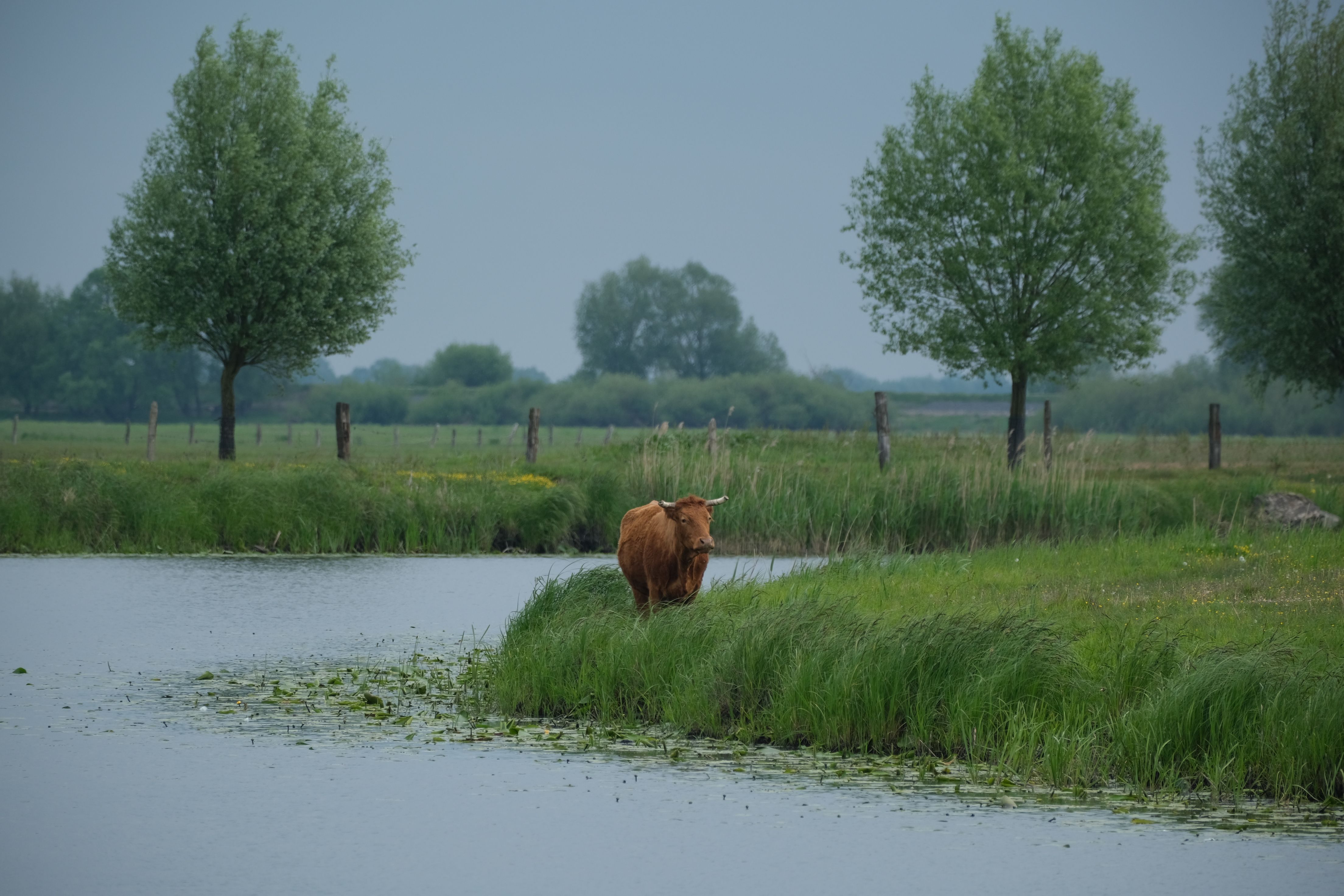Grass Landscape Photos, Download The BEST Free Grass Landscape Stock ...