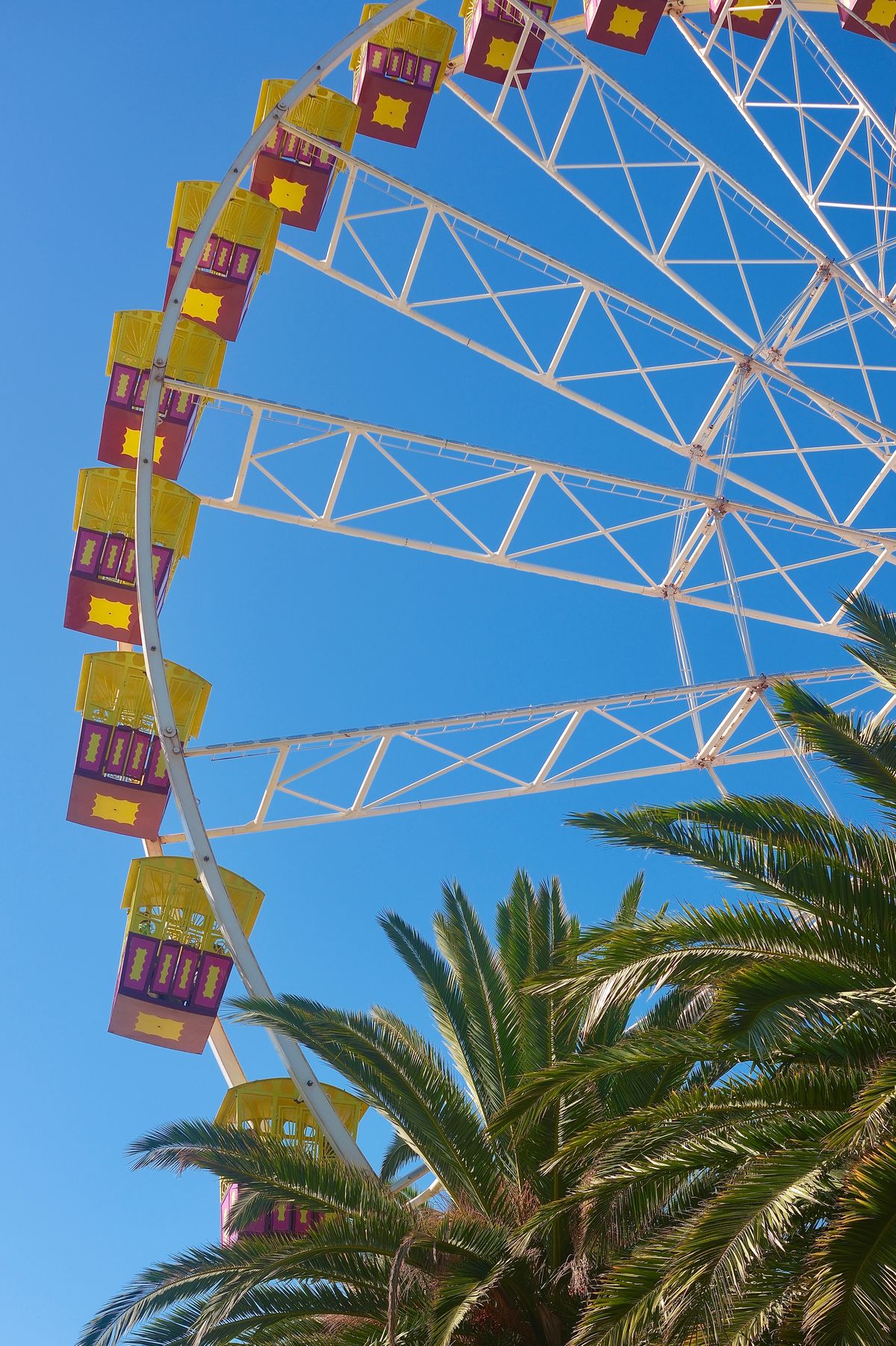 Pink Ferris Wheel Photos, Download The BEST Free Pink Ferris Wheel ...
