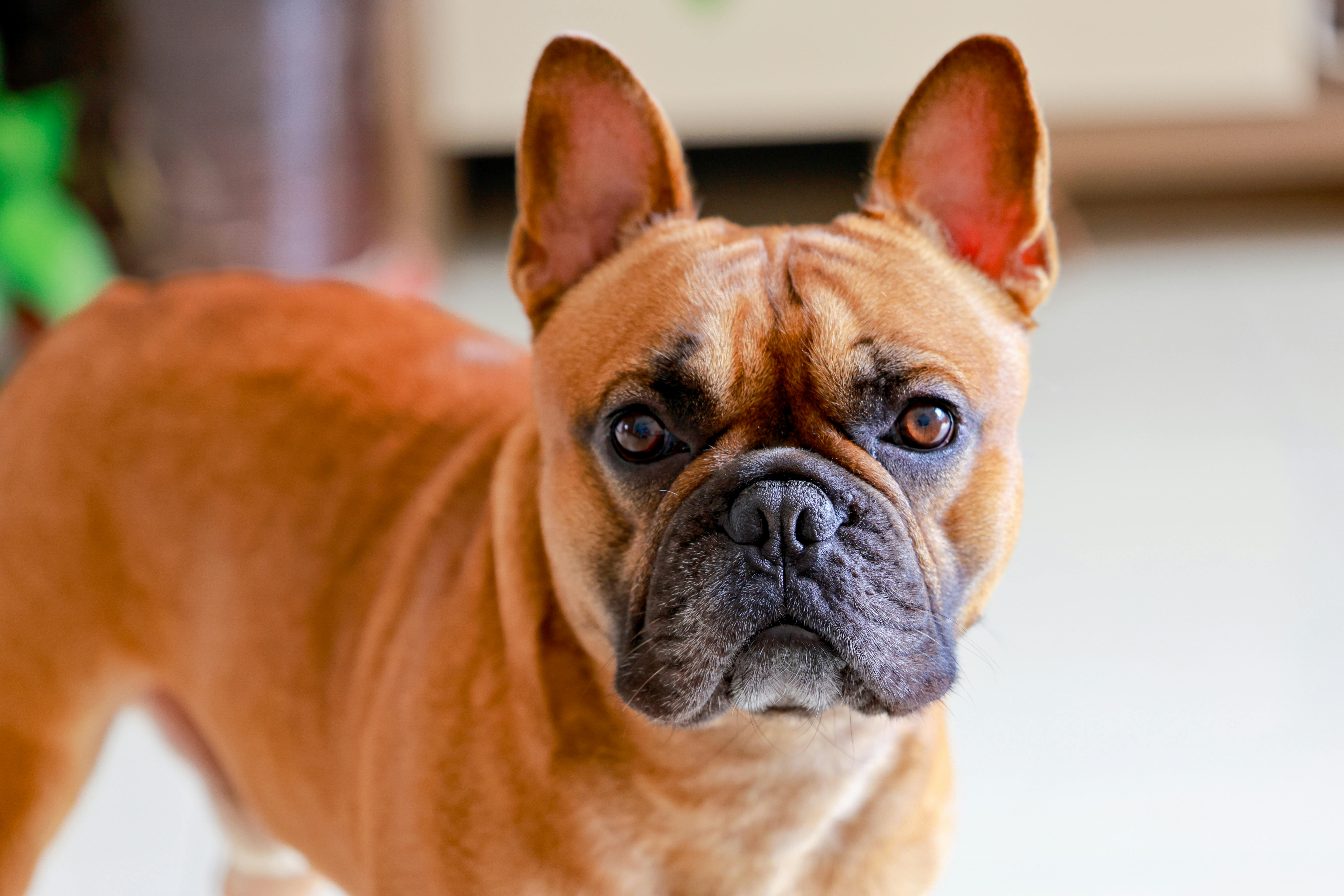 Girls+That+Have+No+Close+On Photos, Download The BEST Free Girls+That ...