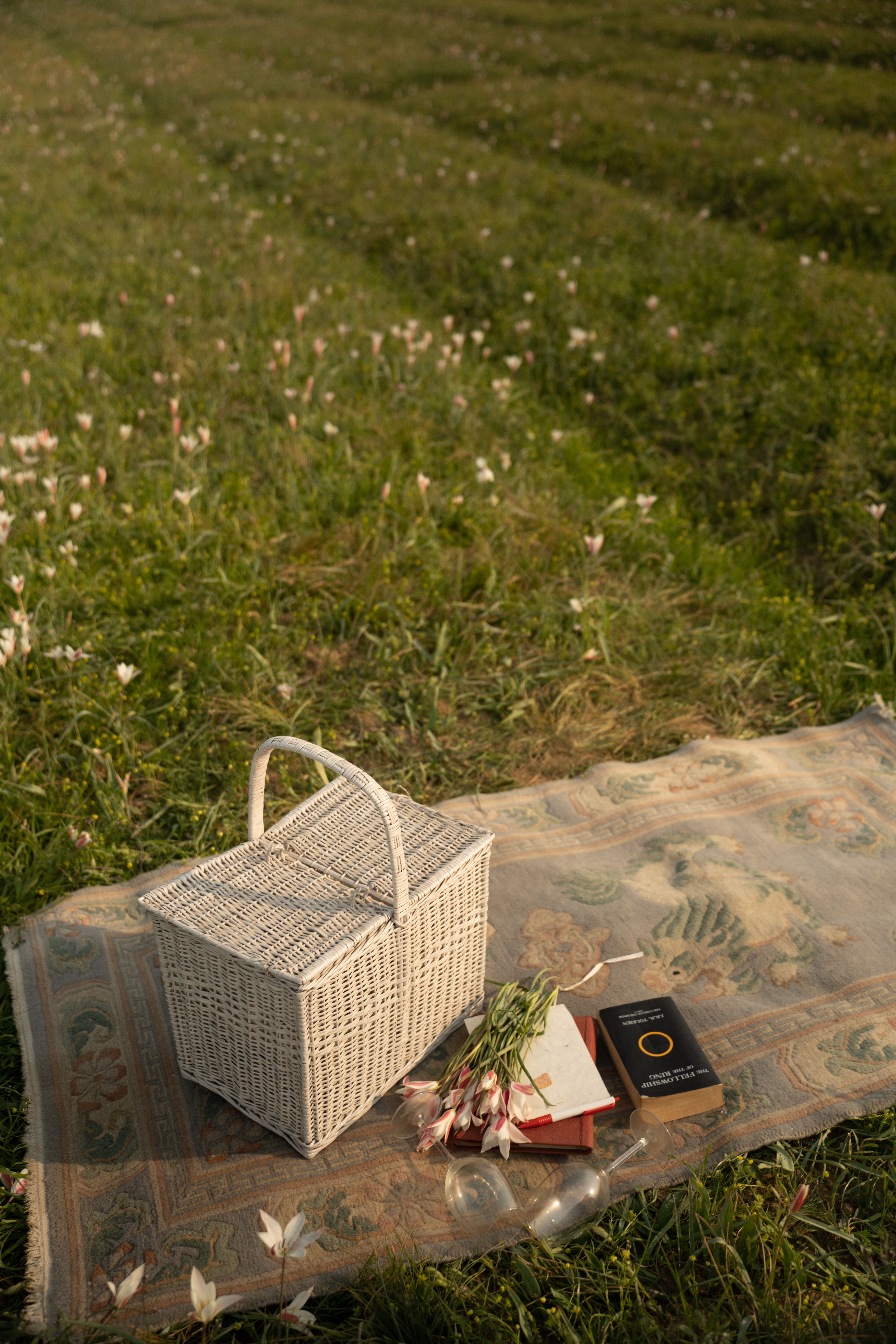 Picnic Setup in Pampore's Scenic Flower Fields · Free Stock Photo