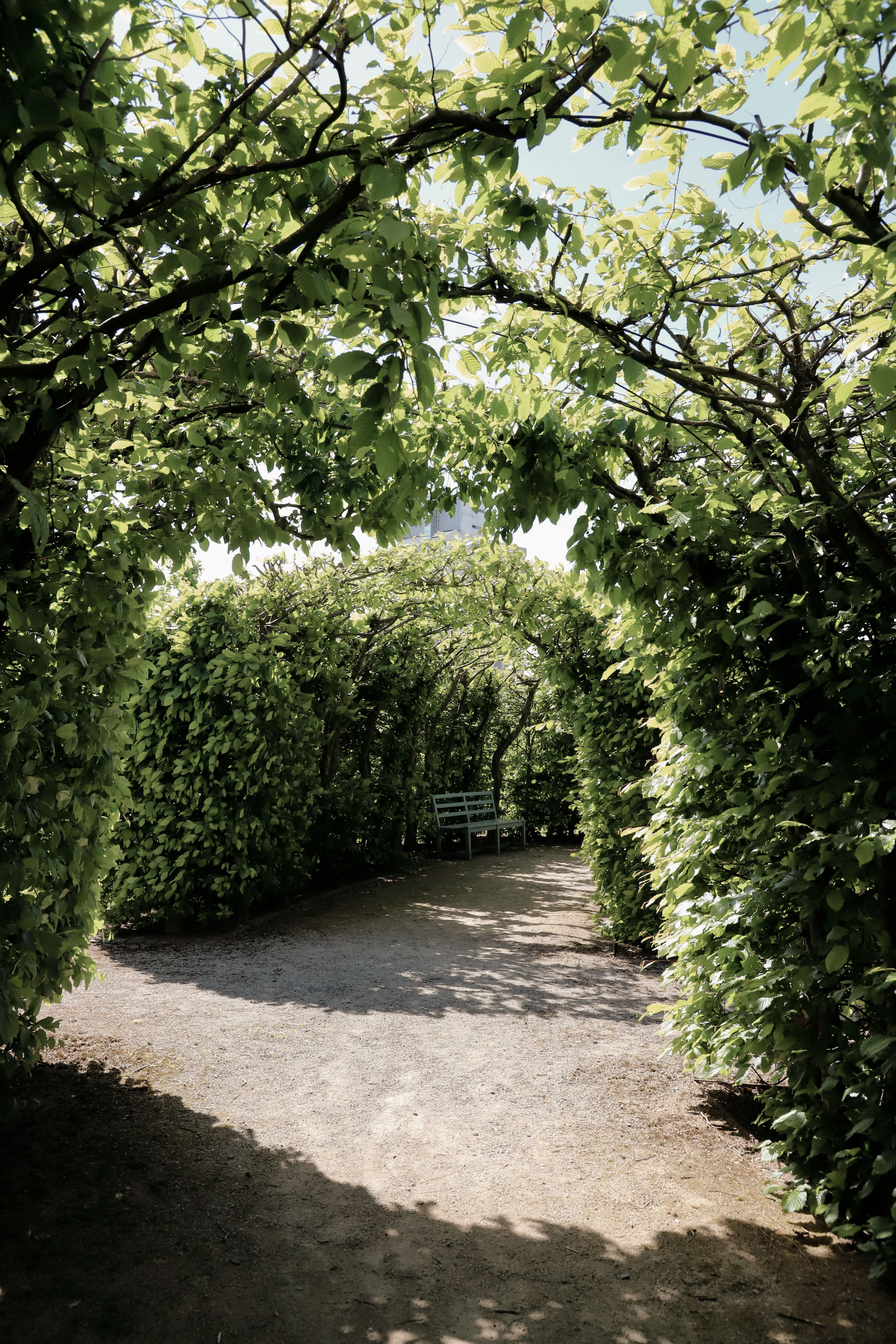 Pathway To Church Photos, Download The BEST Free Pathway To Church ...