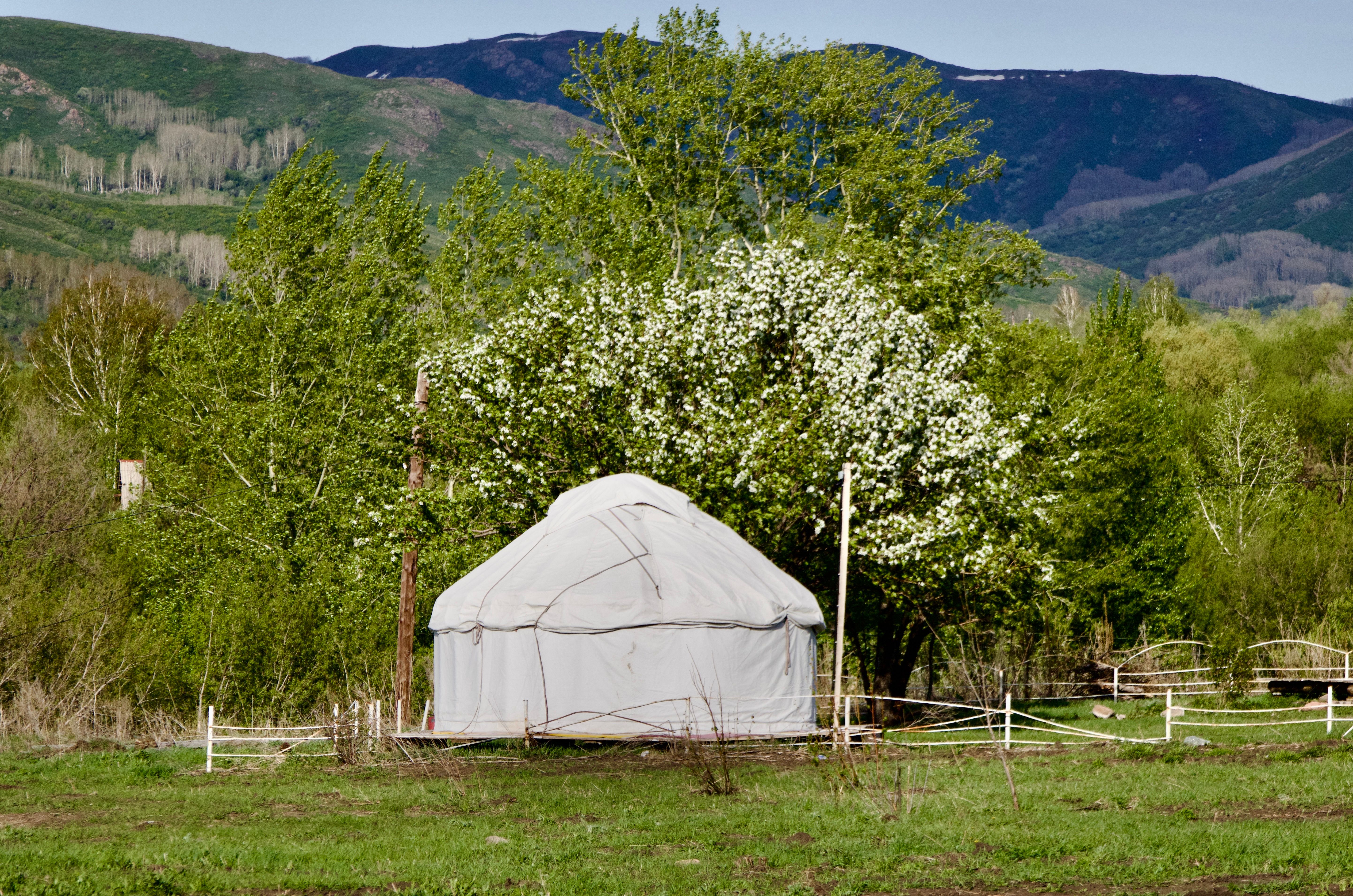 Serene Yurt in Blooming Spring Landscape · Free Stock Photo