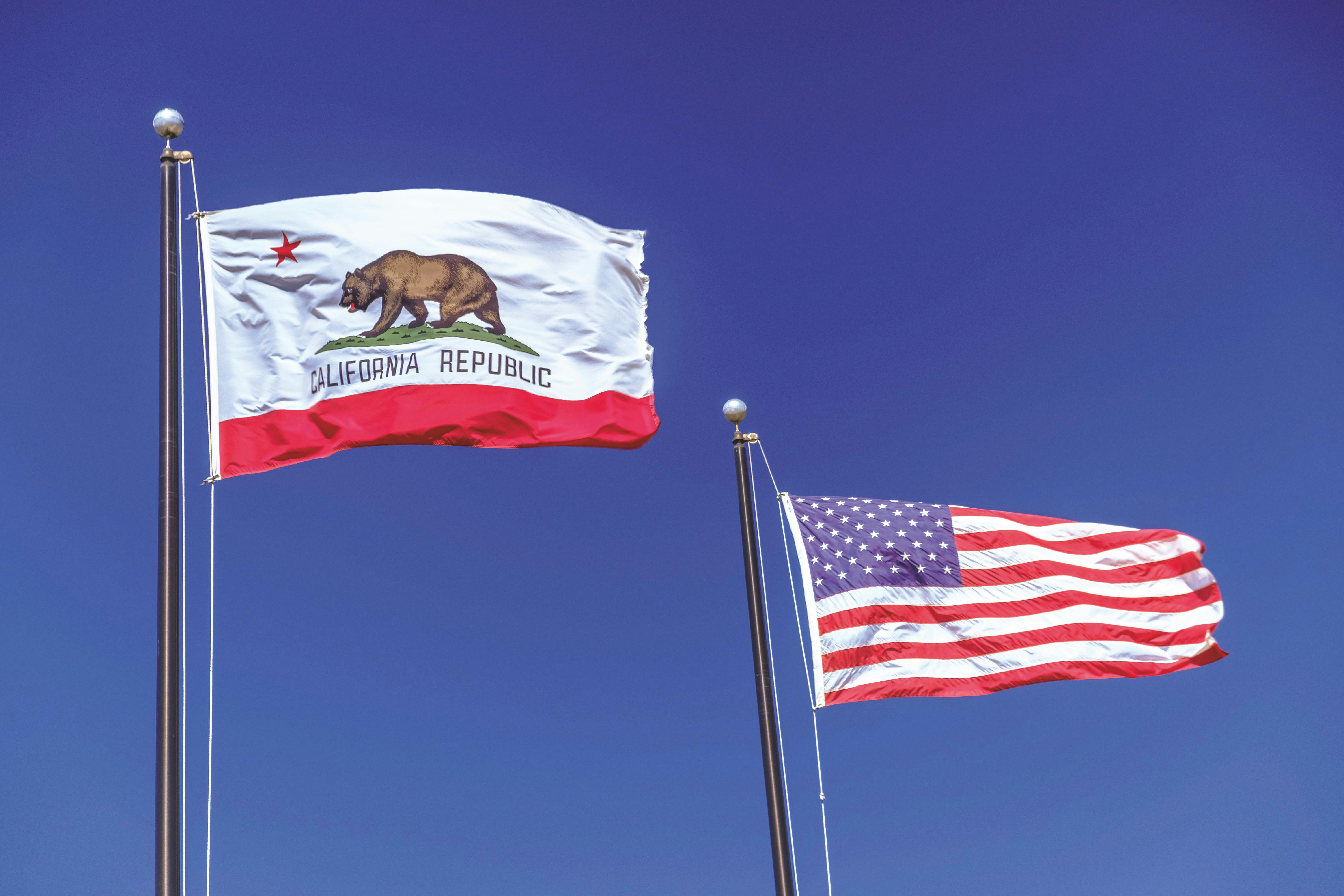 Free stock photo of california flag, flags, Republic of California