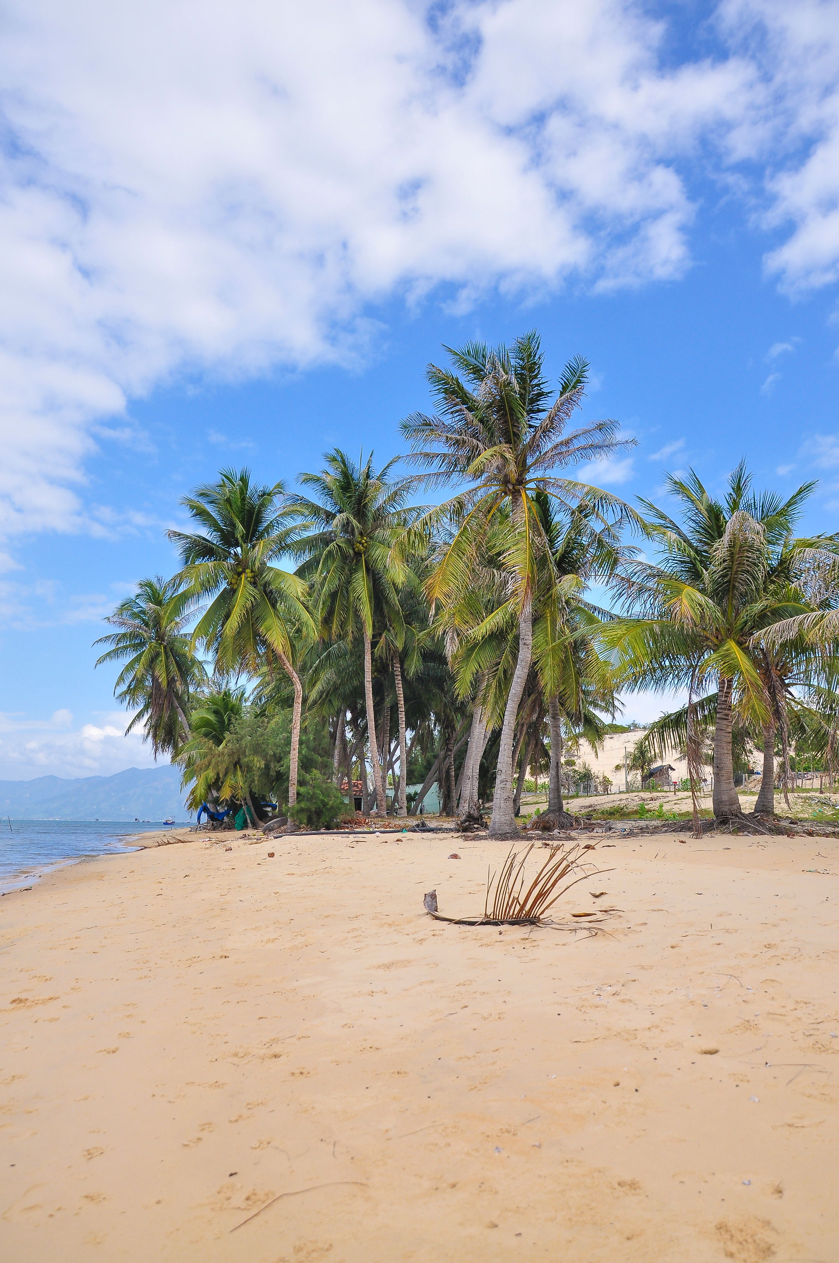 Beach Landscape Photos, Download The BEST Free Beach Landscape Stock ...