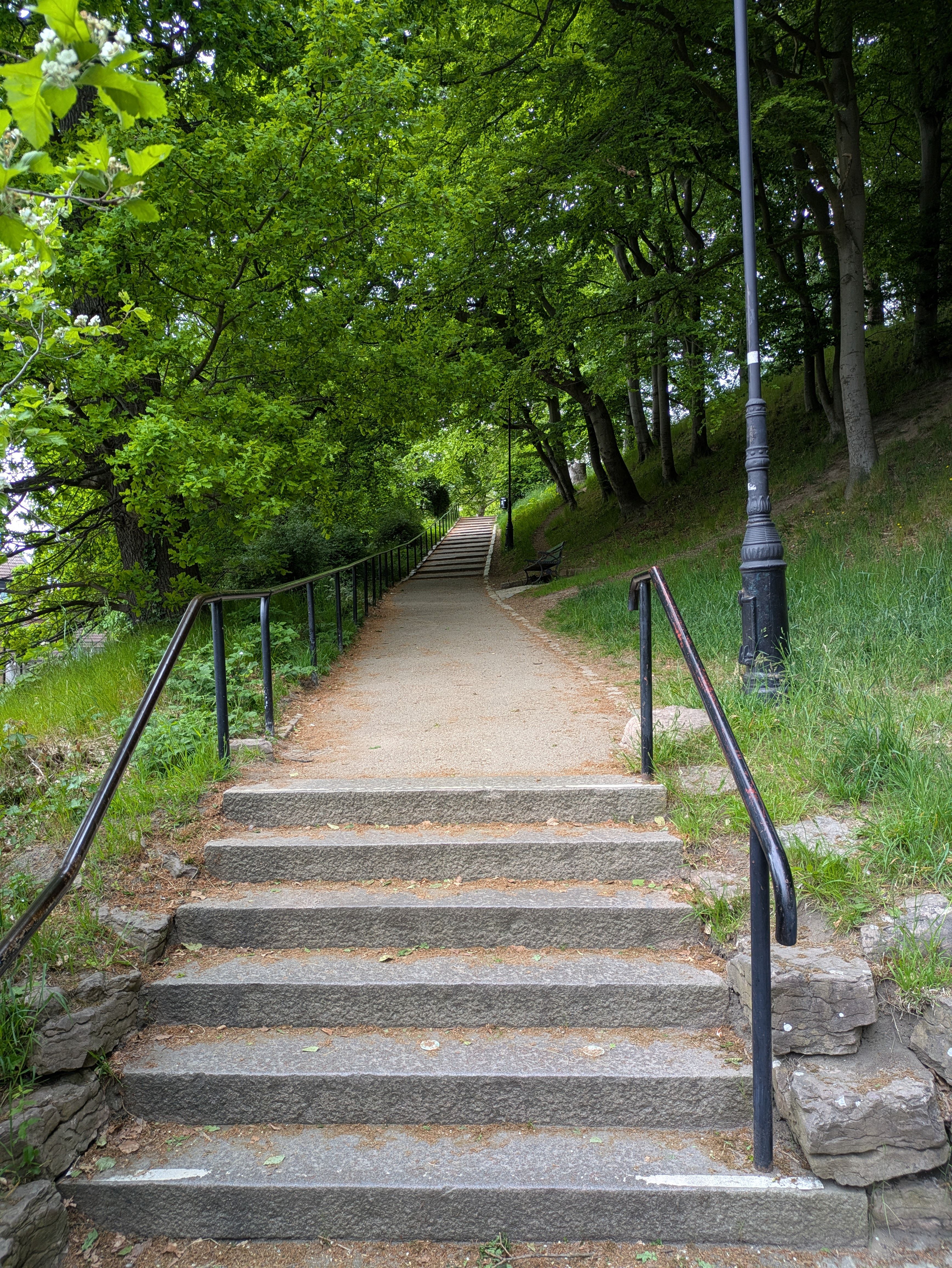 Scenic Outdoor Staircase in Lush Green Park · Free Stock Photo
