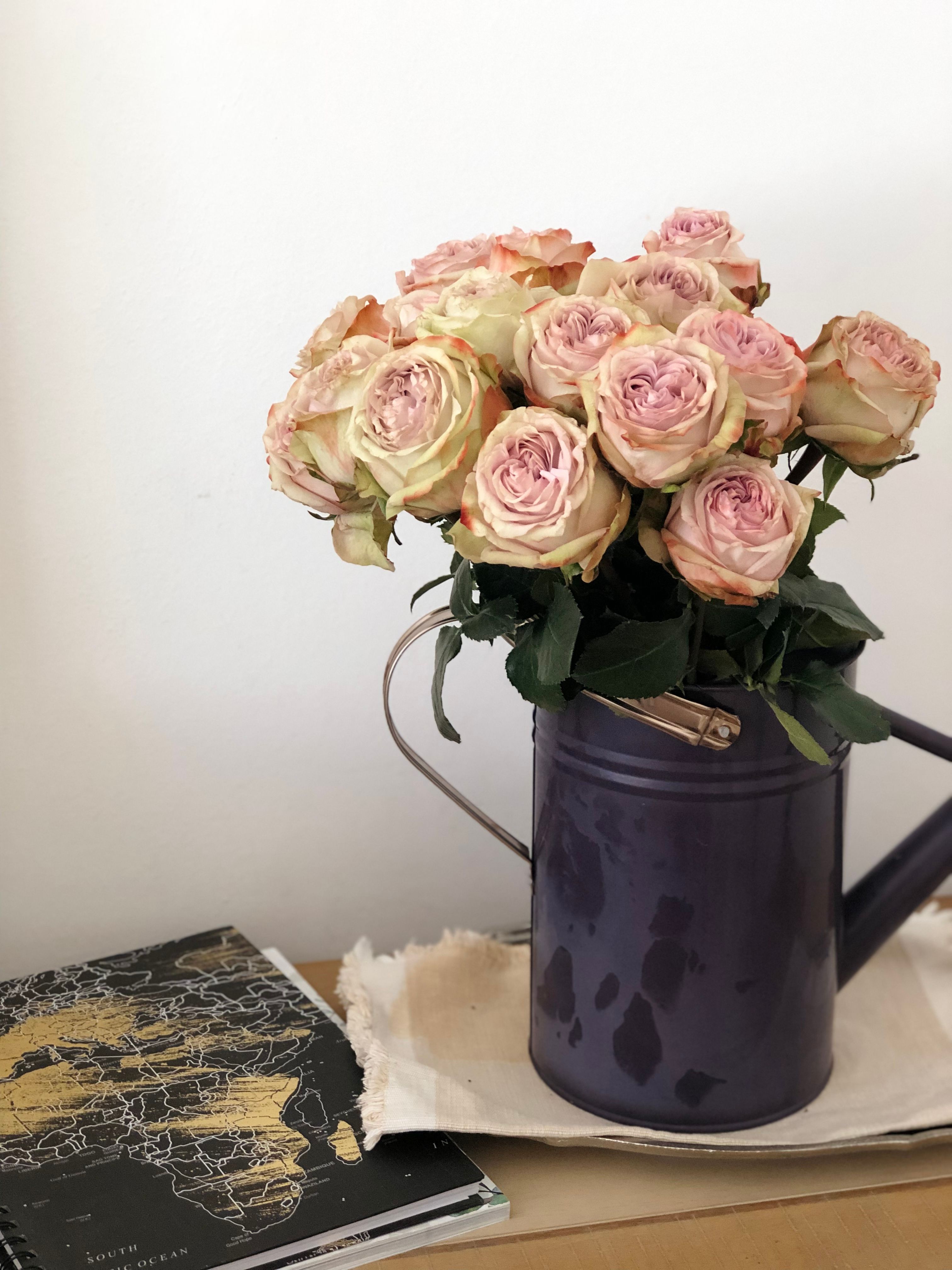 Elegant Pink Roses in Rustic Watering Can · Free Stock Photo