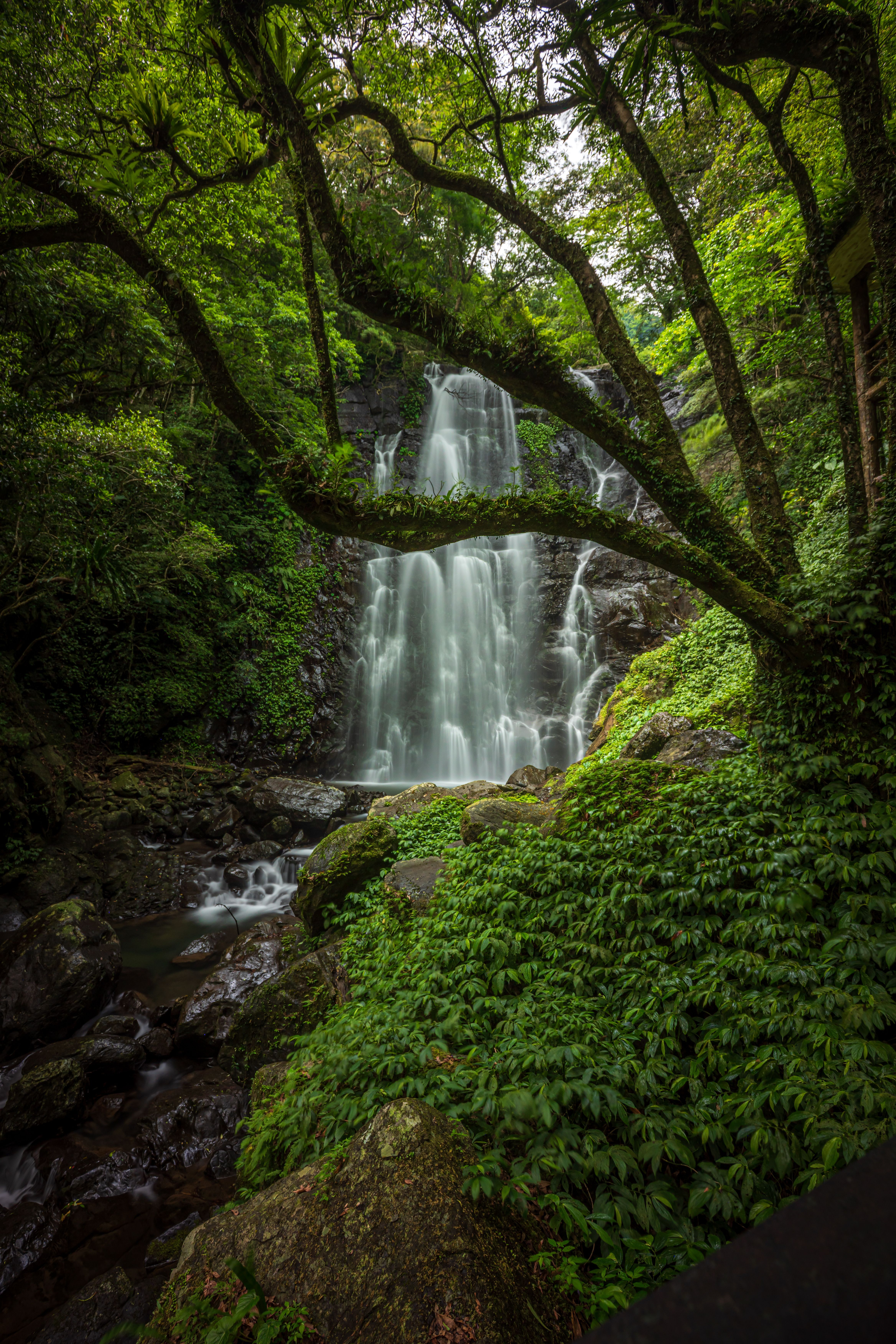 Waterfall Brazil Photos, Download The BEST Free Waterfall Brazil Stock ...