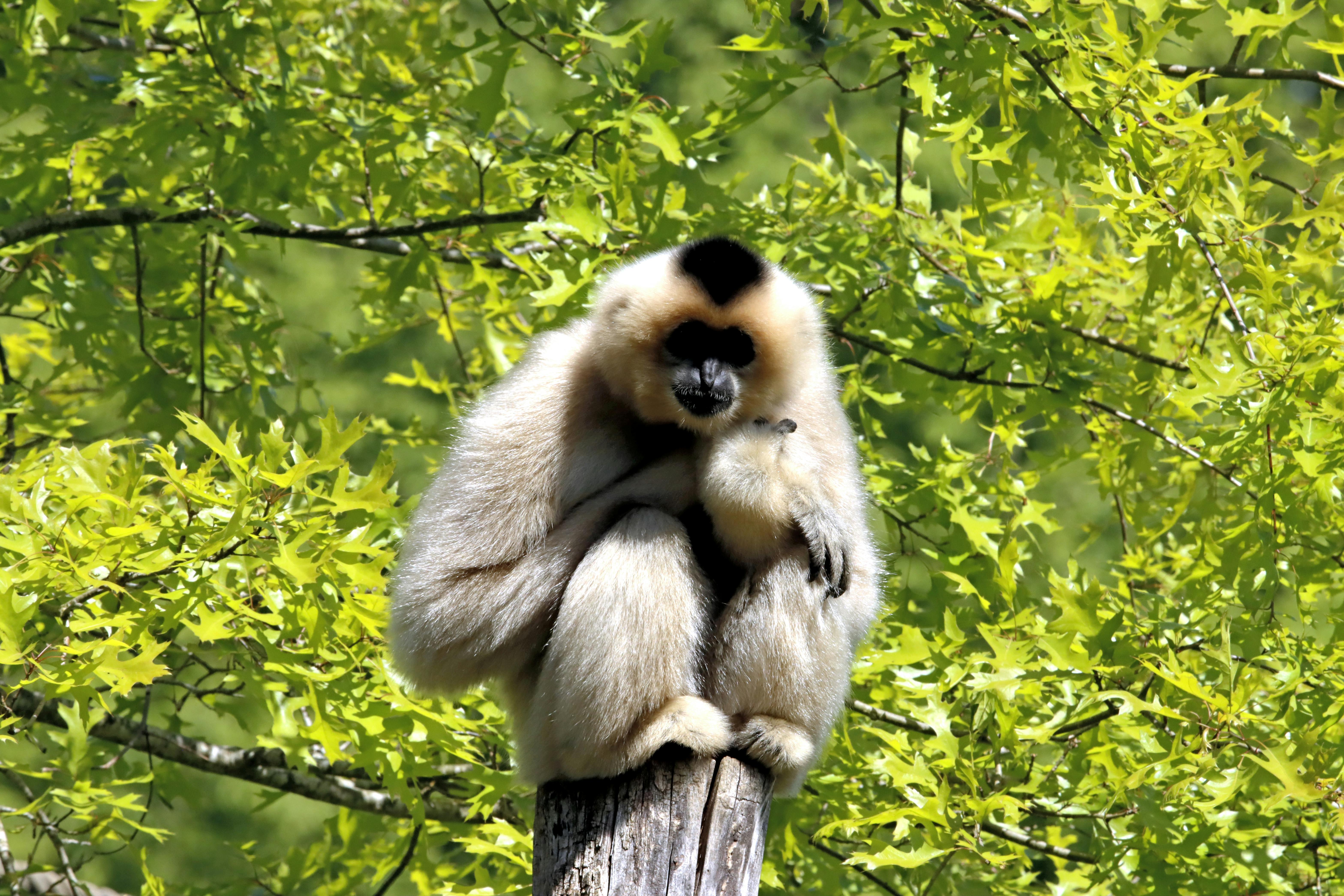 Biodiversity Photos, Download The BEST Free Biodiversity Stock Photos ...