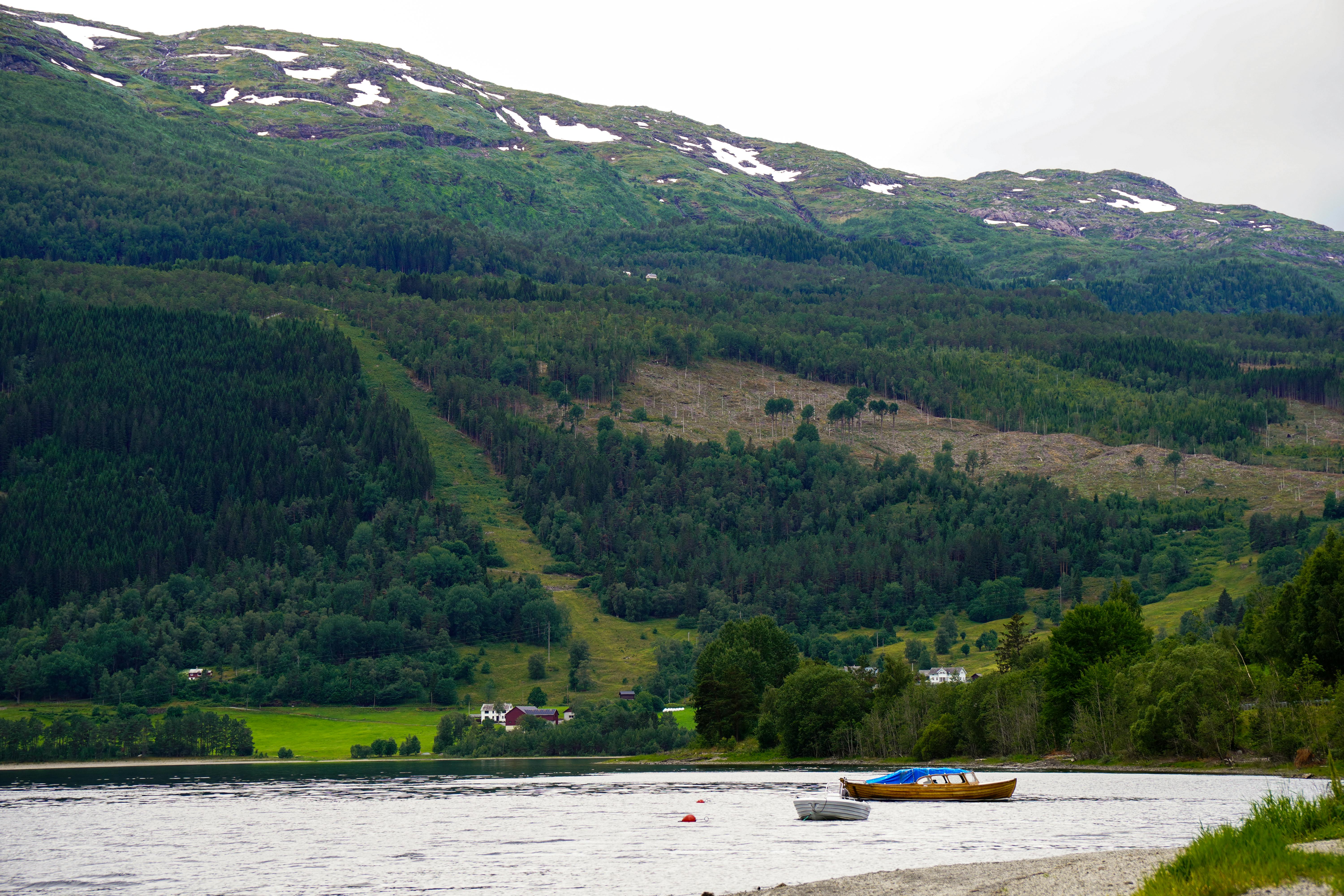 Norway Taxi Photos, Download The BEST Free Norway Taxi Stock Photos ...