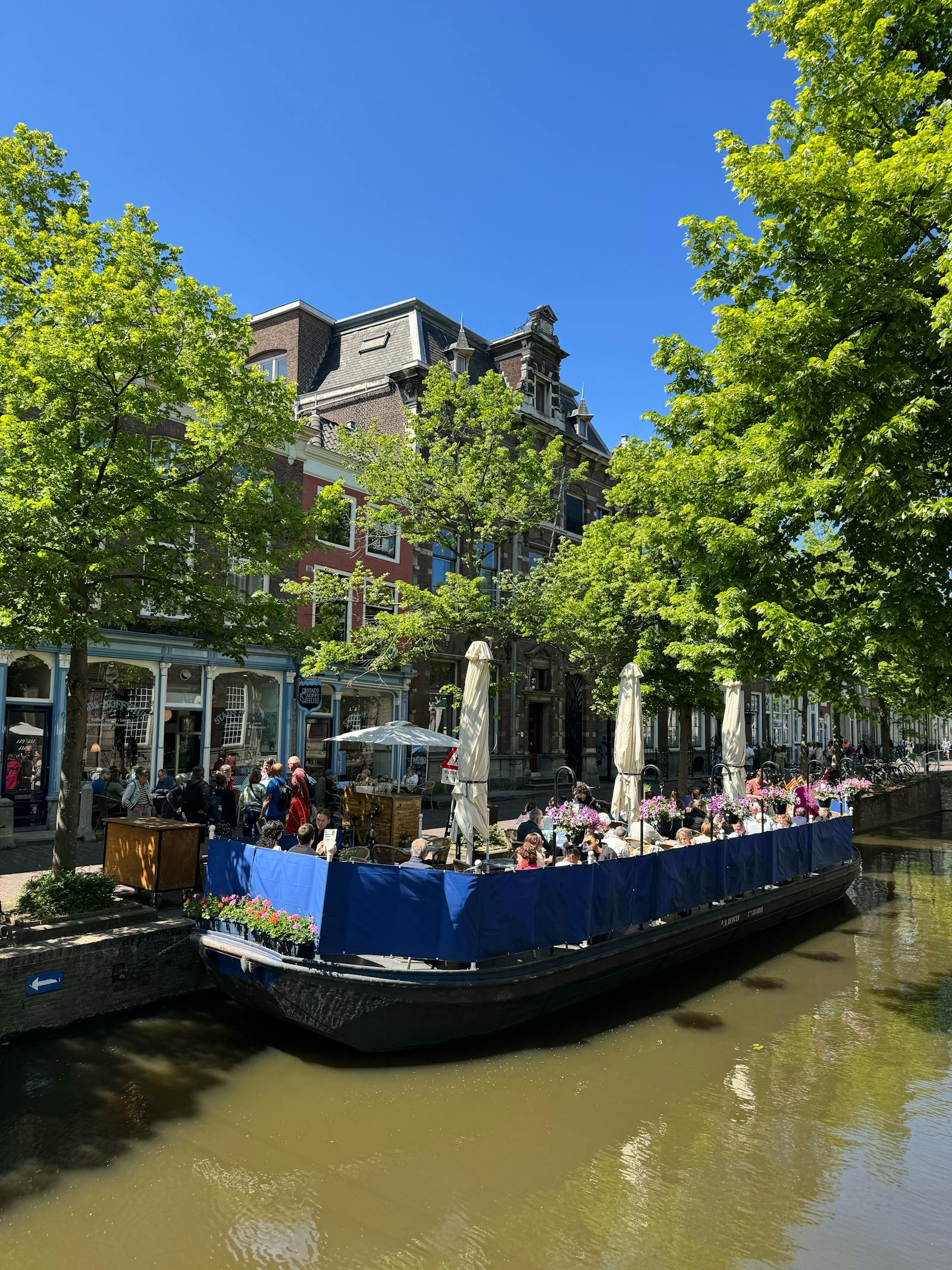 Lively Photos, Download The BEST Free Lively Stock Photos & HD Images