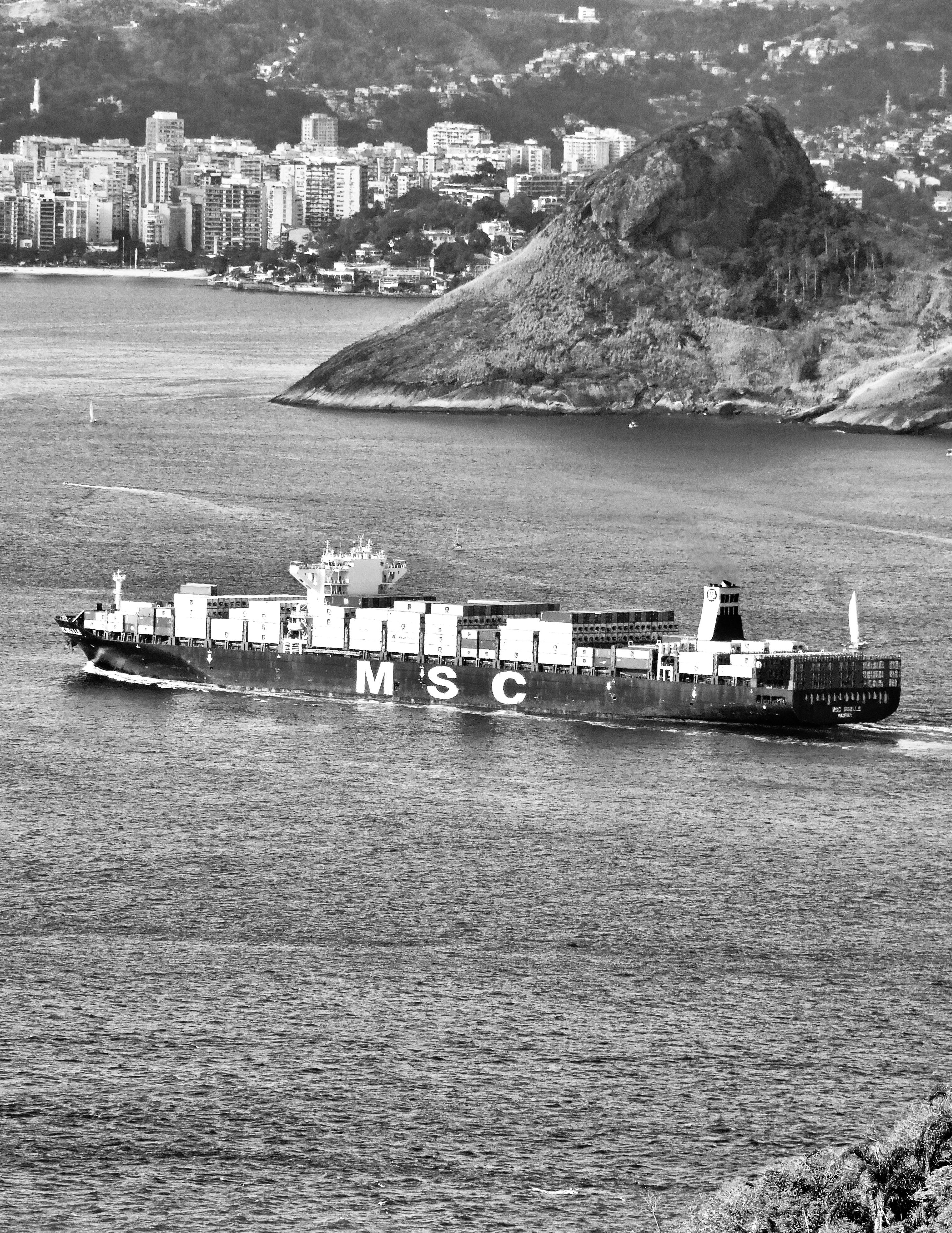 Container Ship Msc Photos, Download The BEST Free Container Ship Msc ...