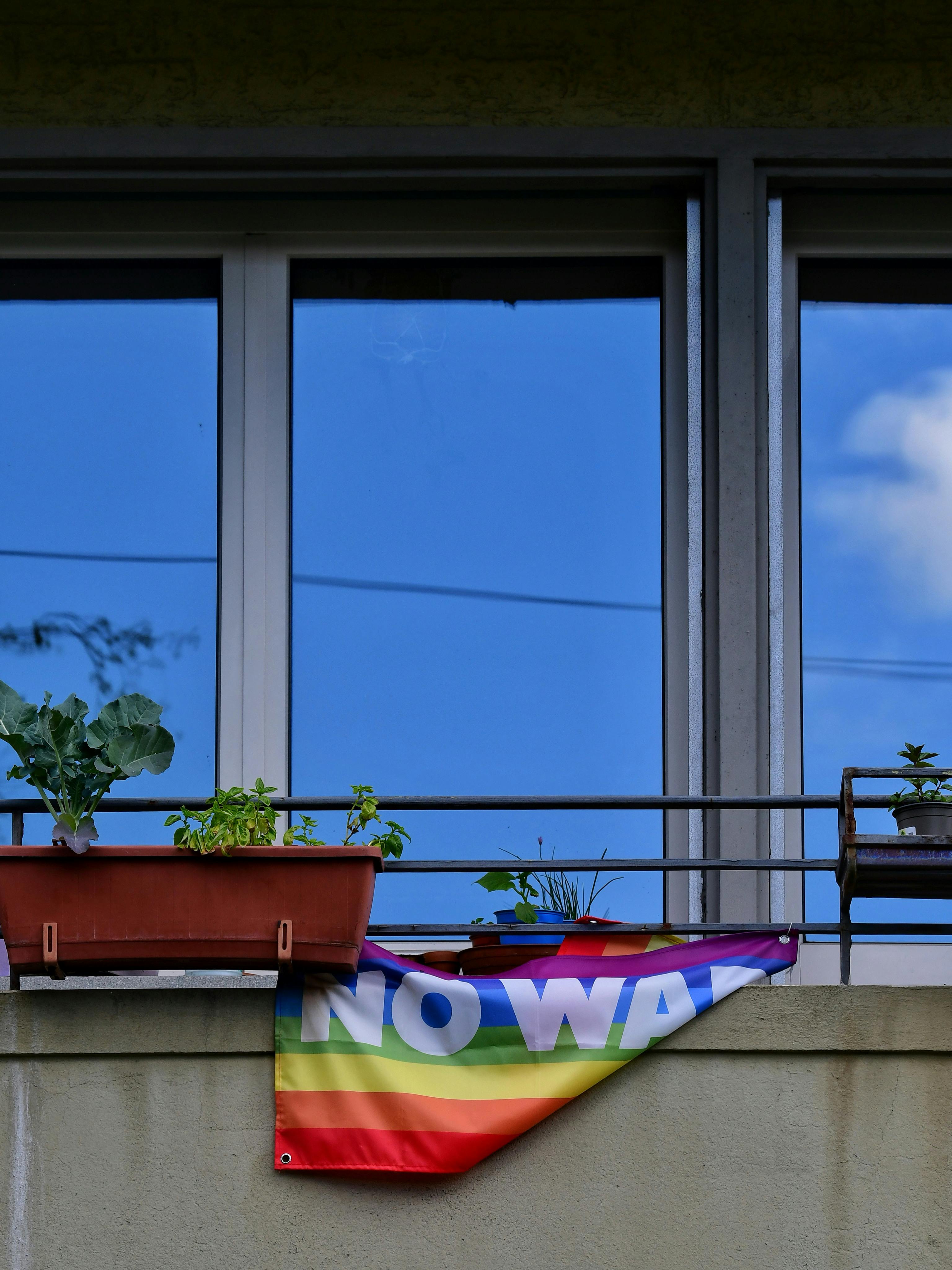 Rainbow Flag Displayed on Balcony with Plants · Free Stock Photo
