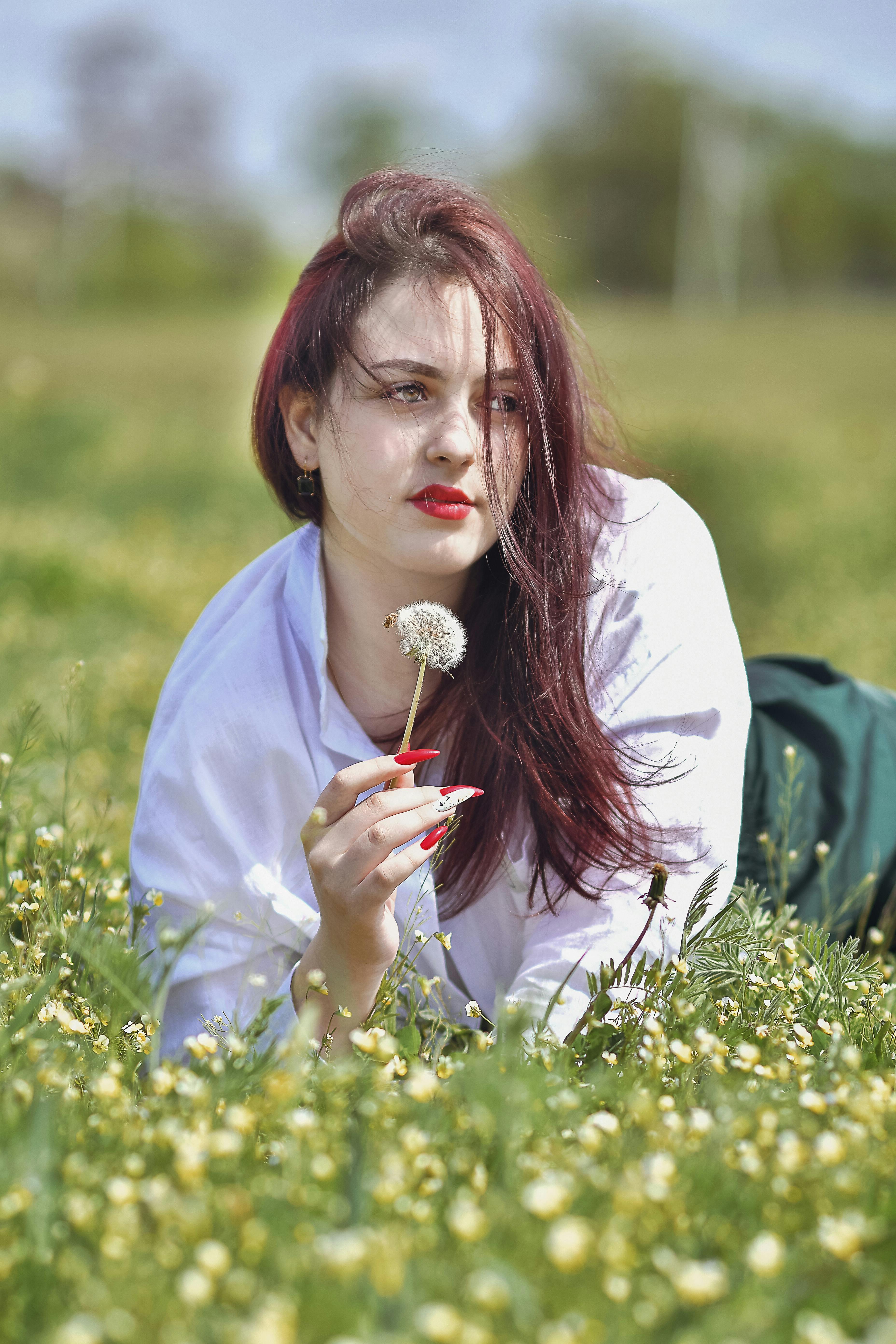 Shrek Photo Photos, Download The BEST Free Shrek Photo Stock Photos ...