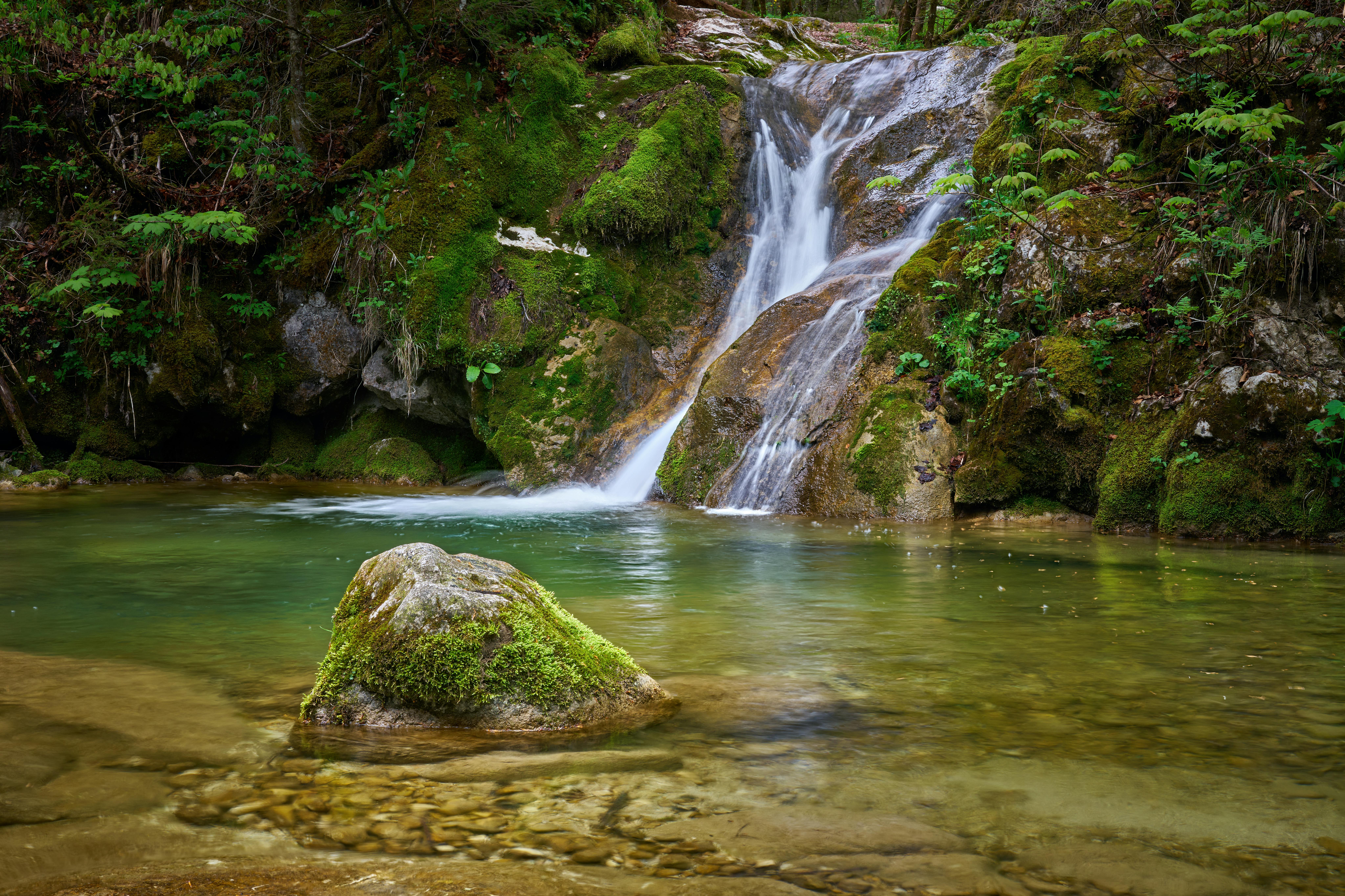 Serene Waterfall in Lush Forest in Salzburg, Austria · Free Stock Photo