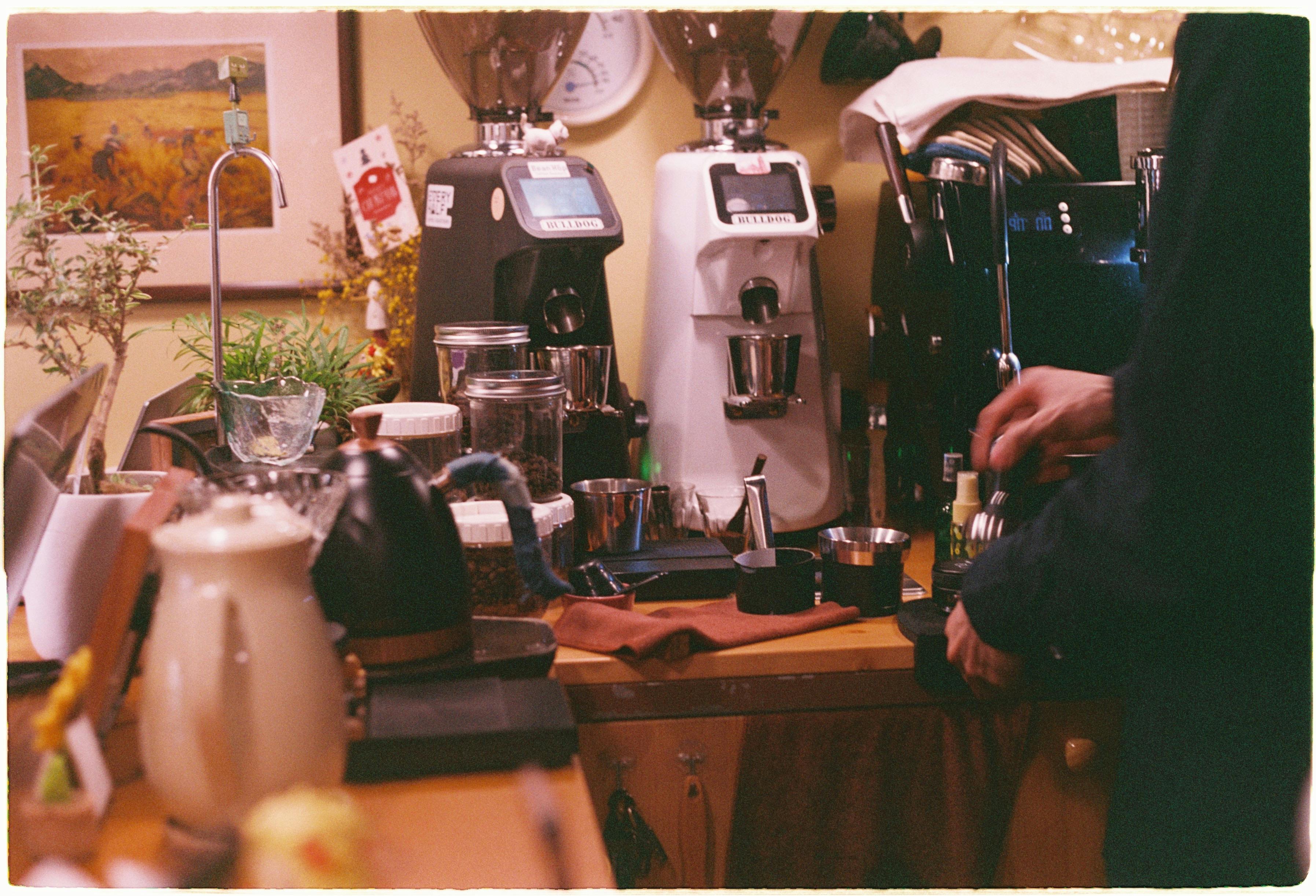 Barista Preparing Coffee in Cozy Cafe Setting · Free Stock Photo