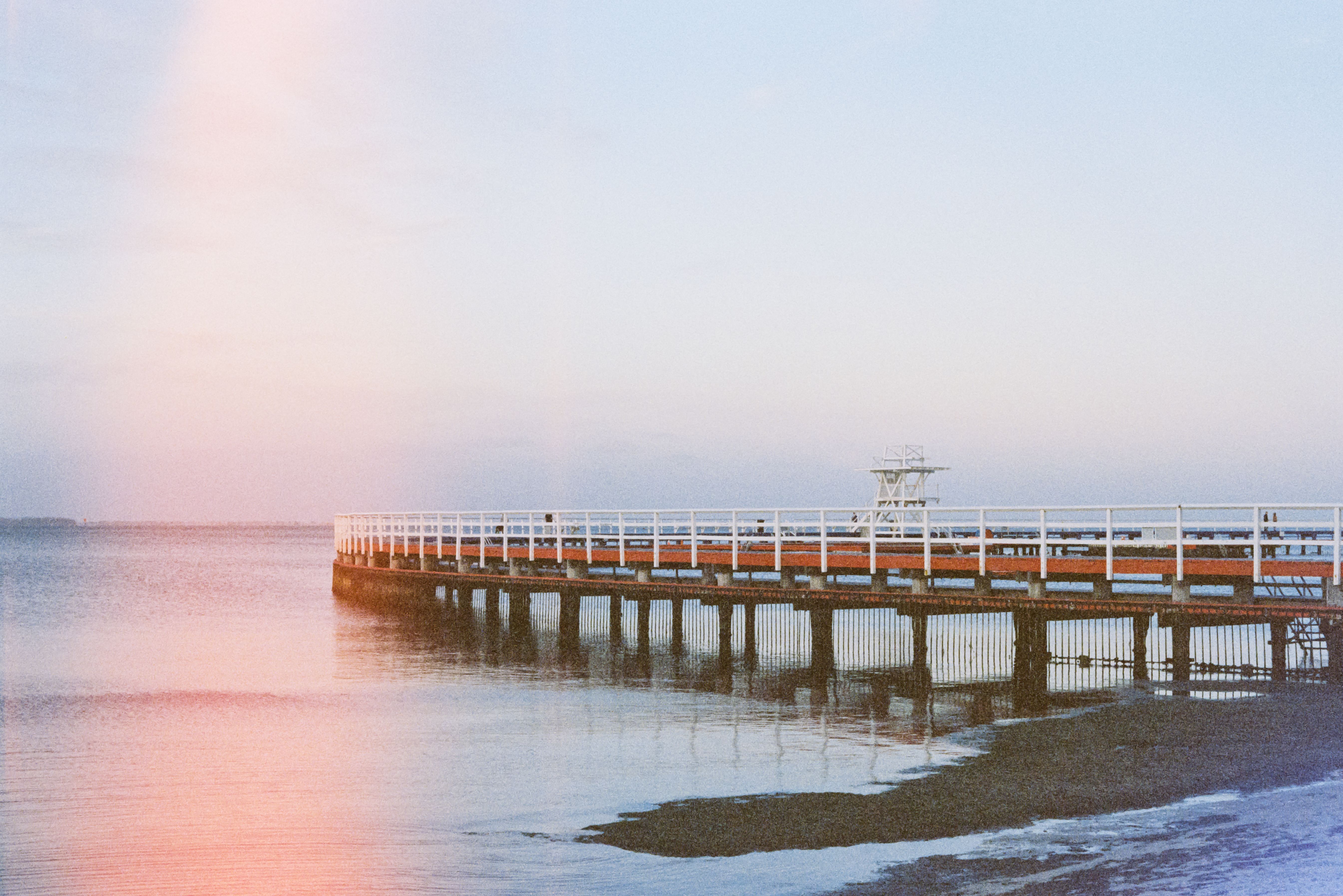 800 X 800 Photos, Download The BEST Free 800 X 800 Stock Photos & HD Images