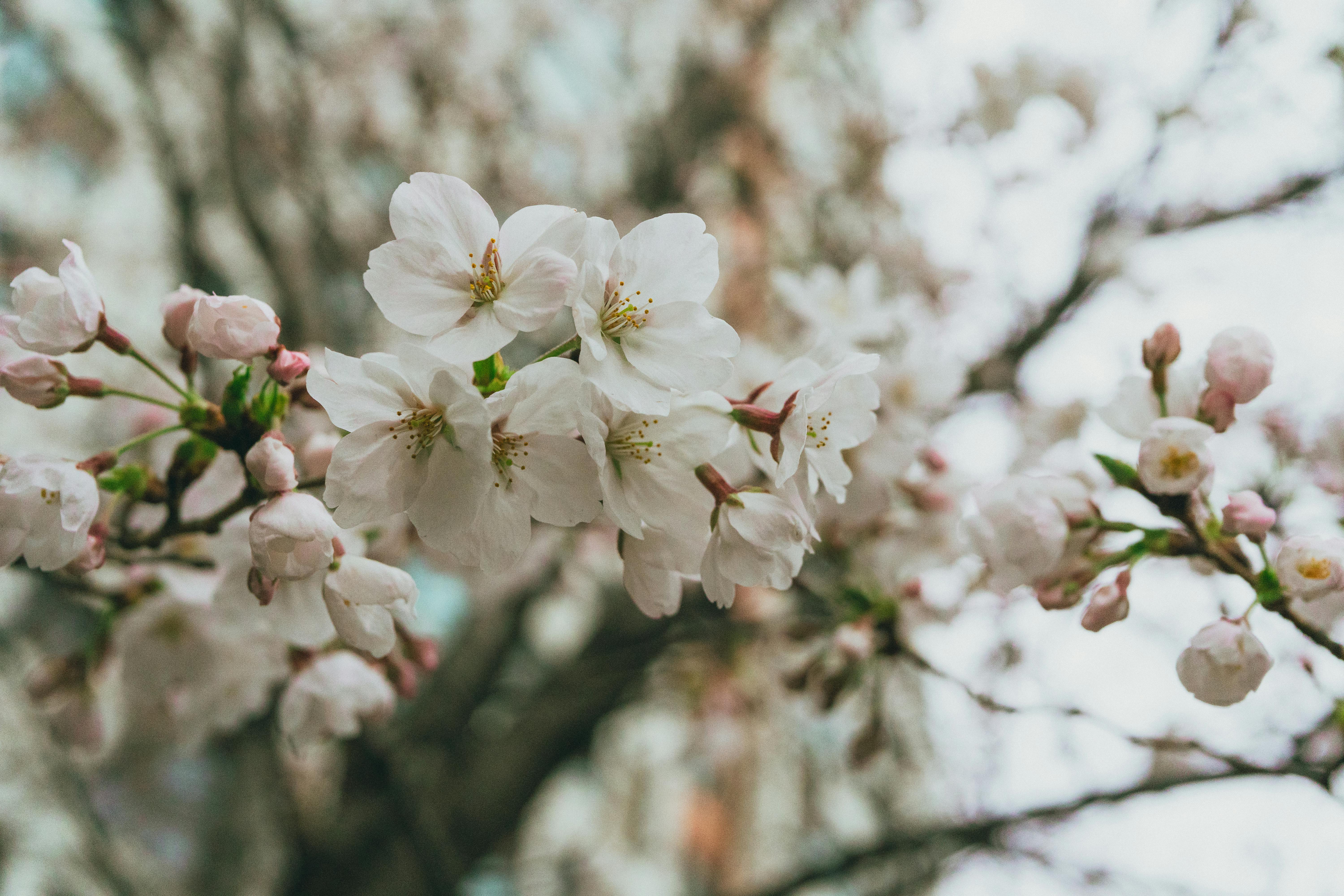 Ias Wallpaper Upsc Photos, Download The BEST Free Ias Wallpaper Upsc ...