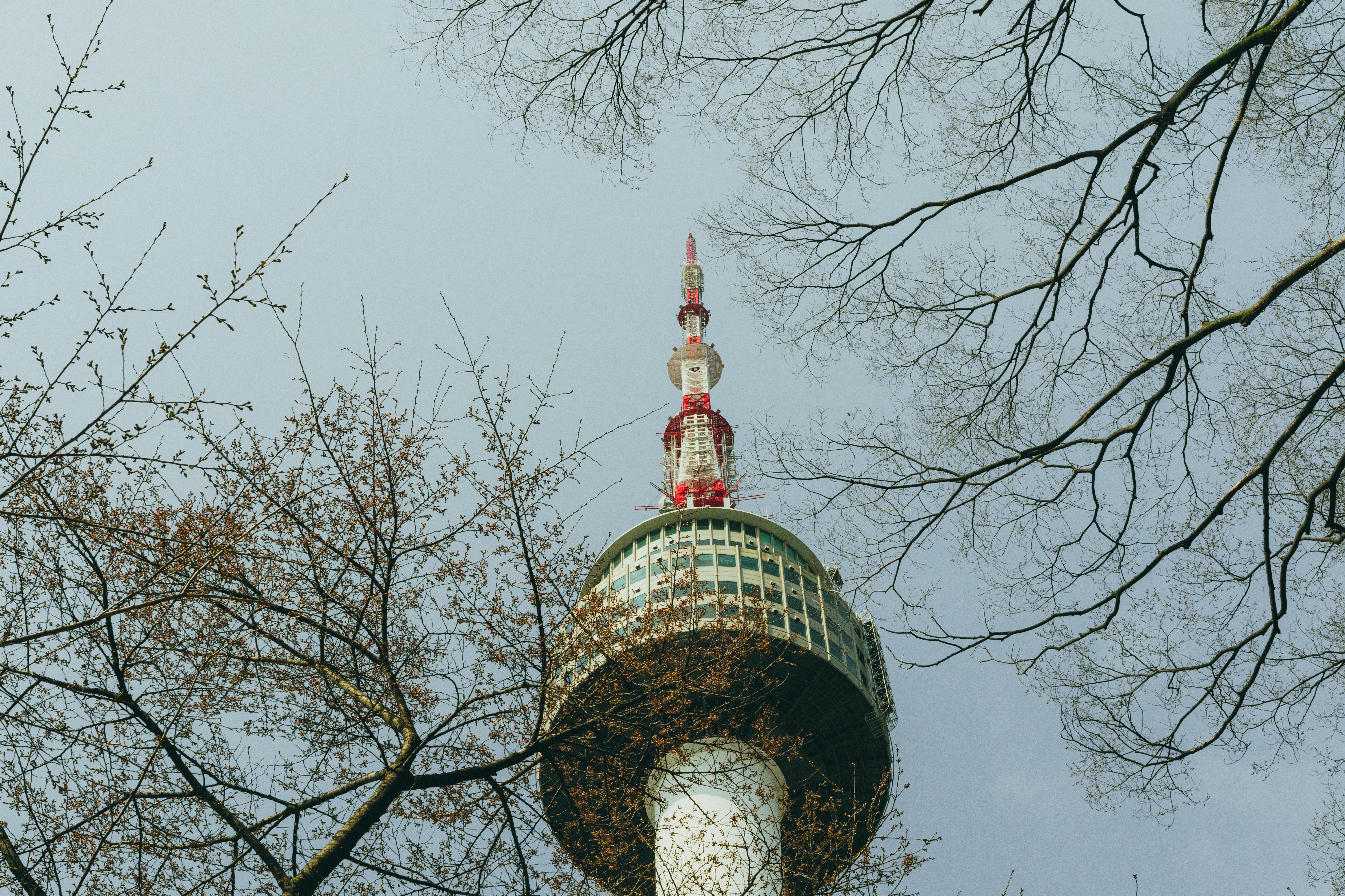Namsan Seoul Tower Among Cherry Blossoms in Spring · Free Stock Photo