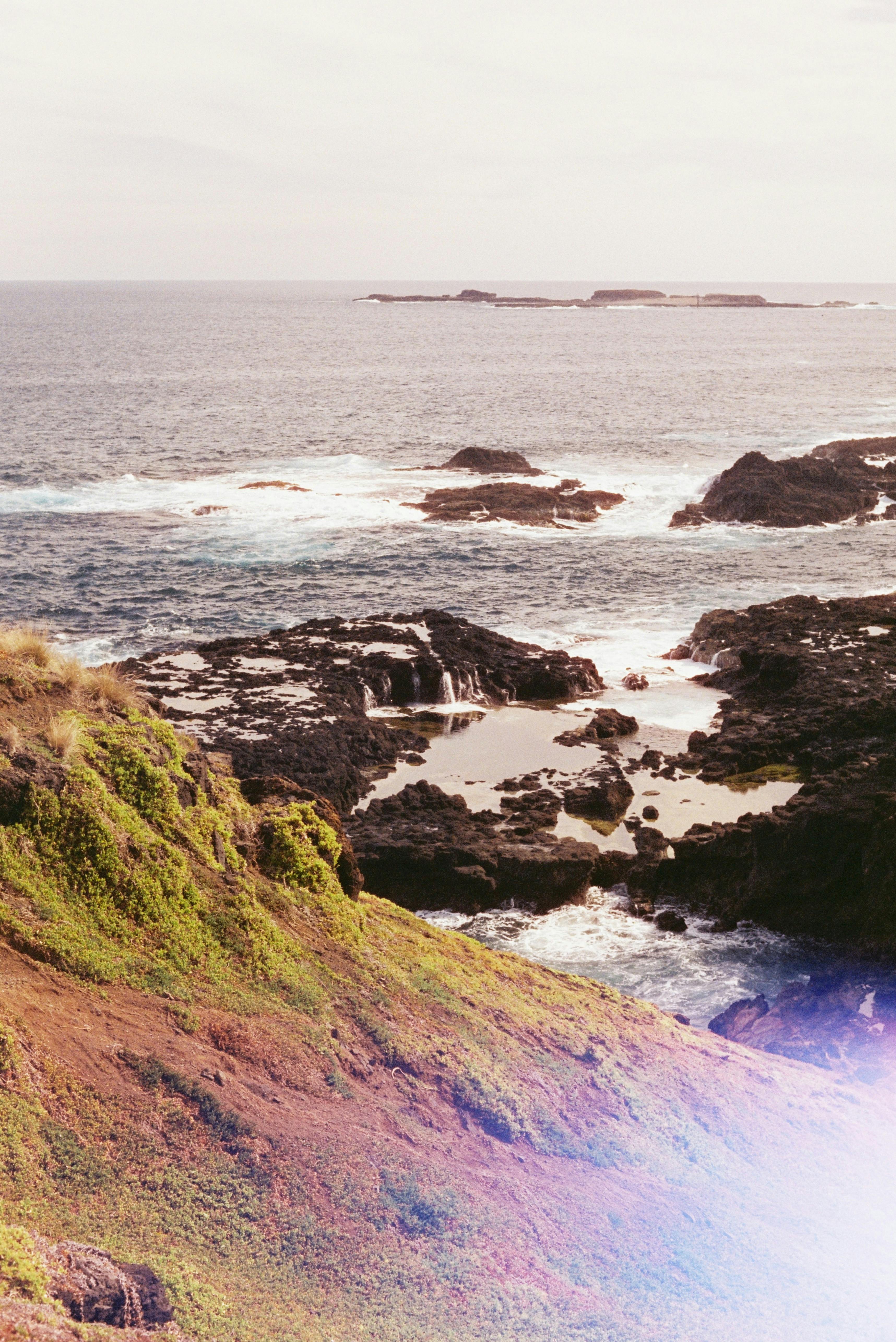 Daniel Dang - Photography