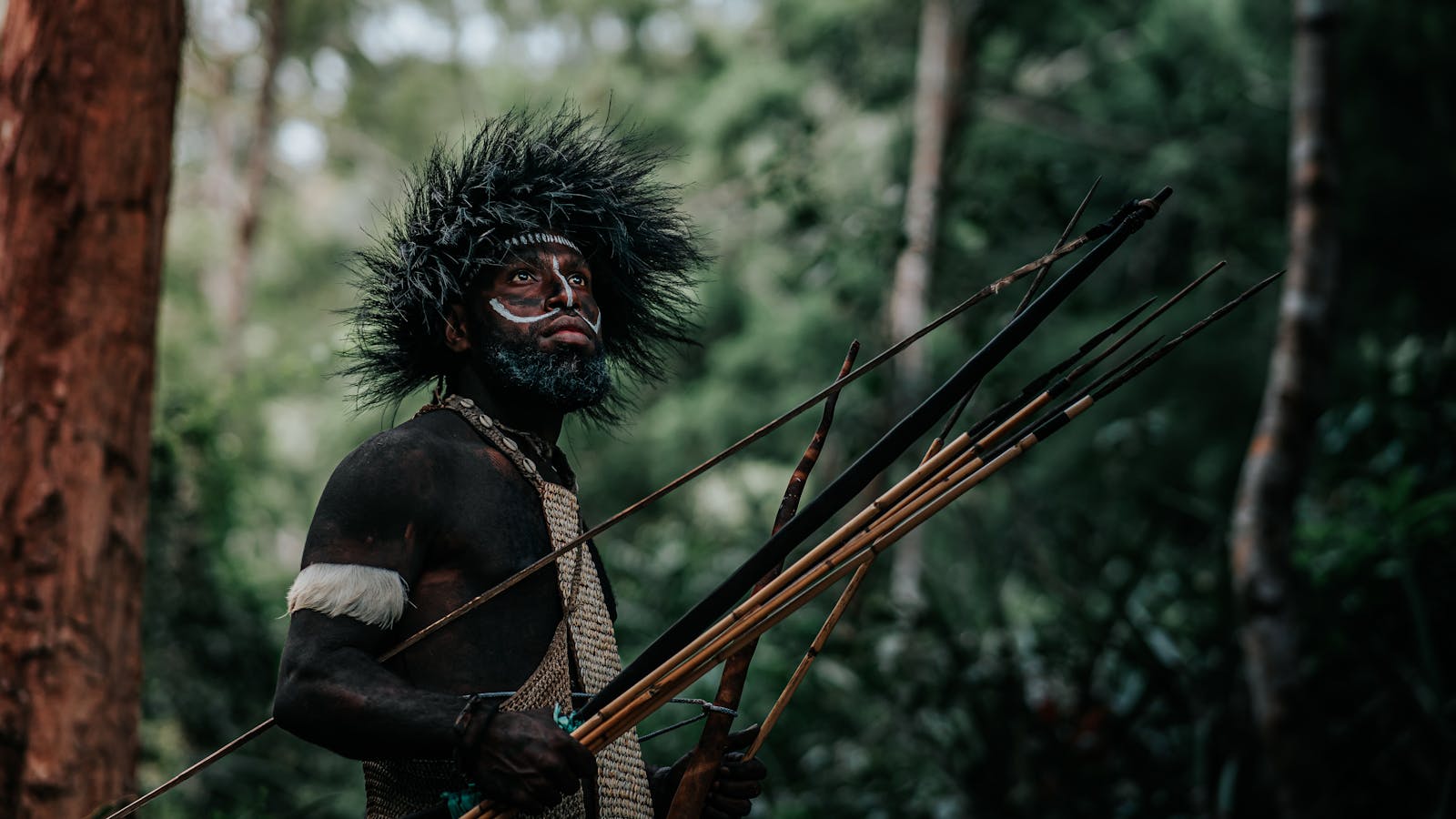 Aboriginal Indigenous Art Photos, Download The BEST Free Aboriginal ...