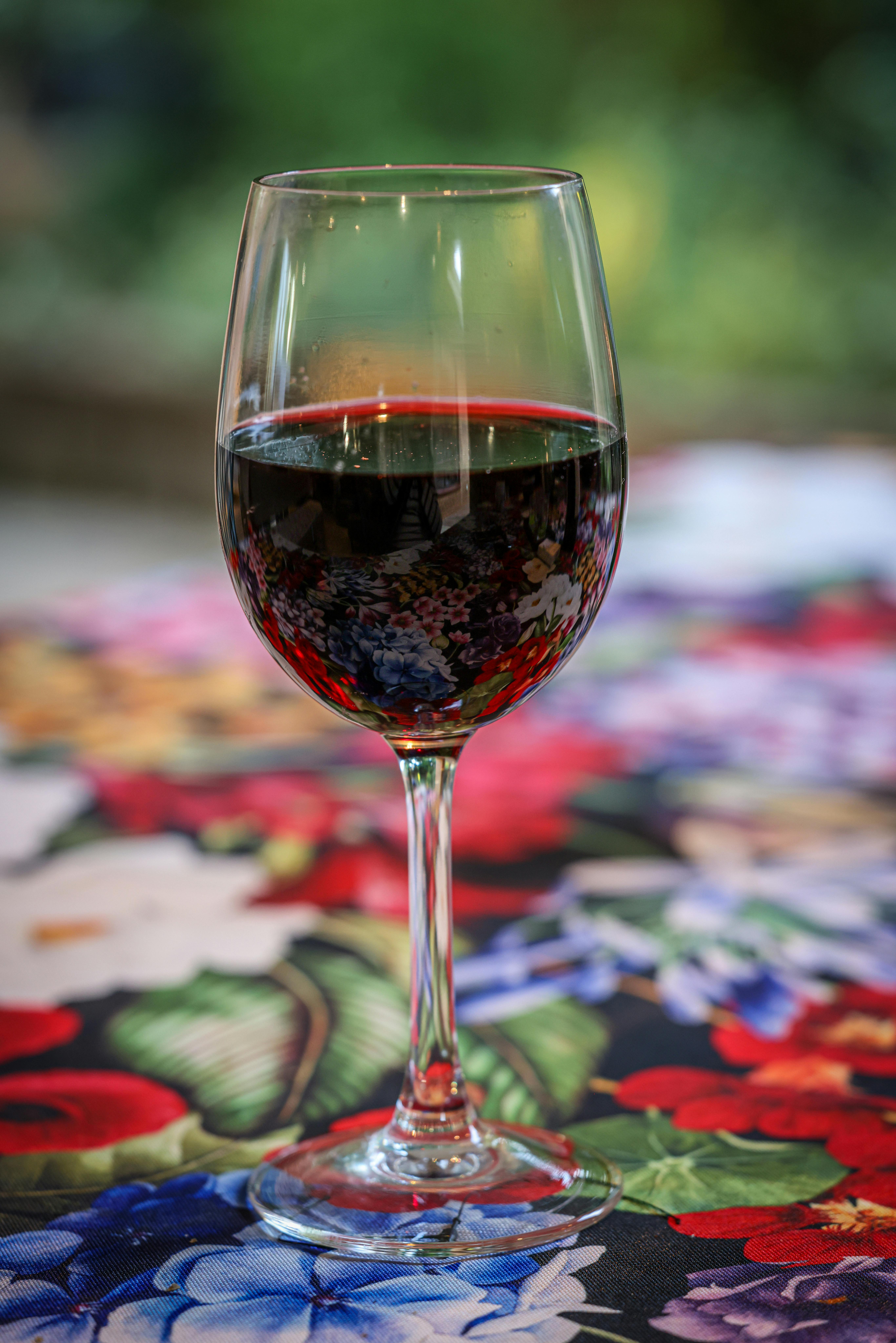 Quality Svg Photos, Download The BEST Free Quality Svg Stock Photos ...