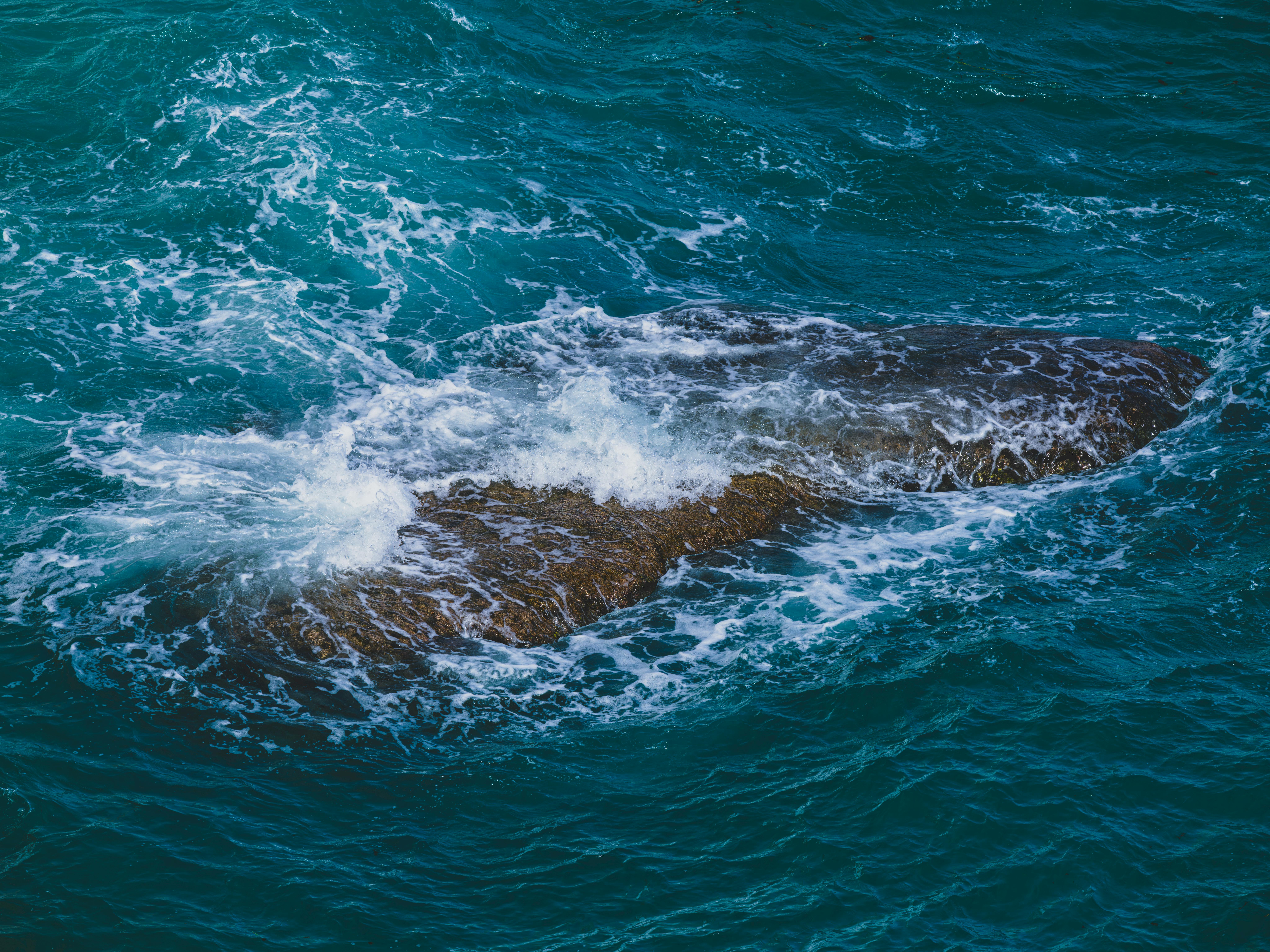 Spray Reference Photos, Download The BEST Free Spray Reference Stock ...