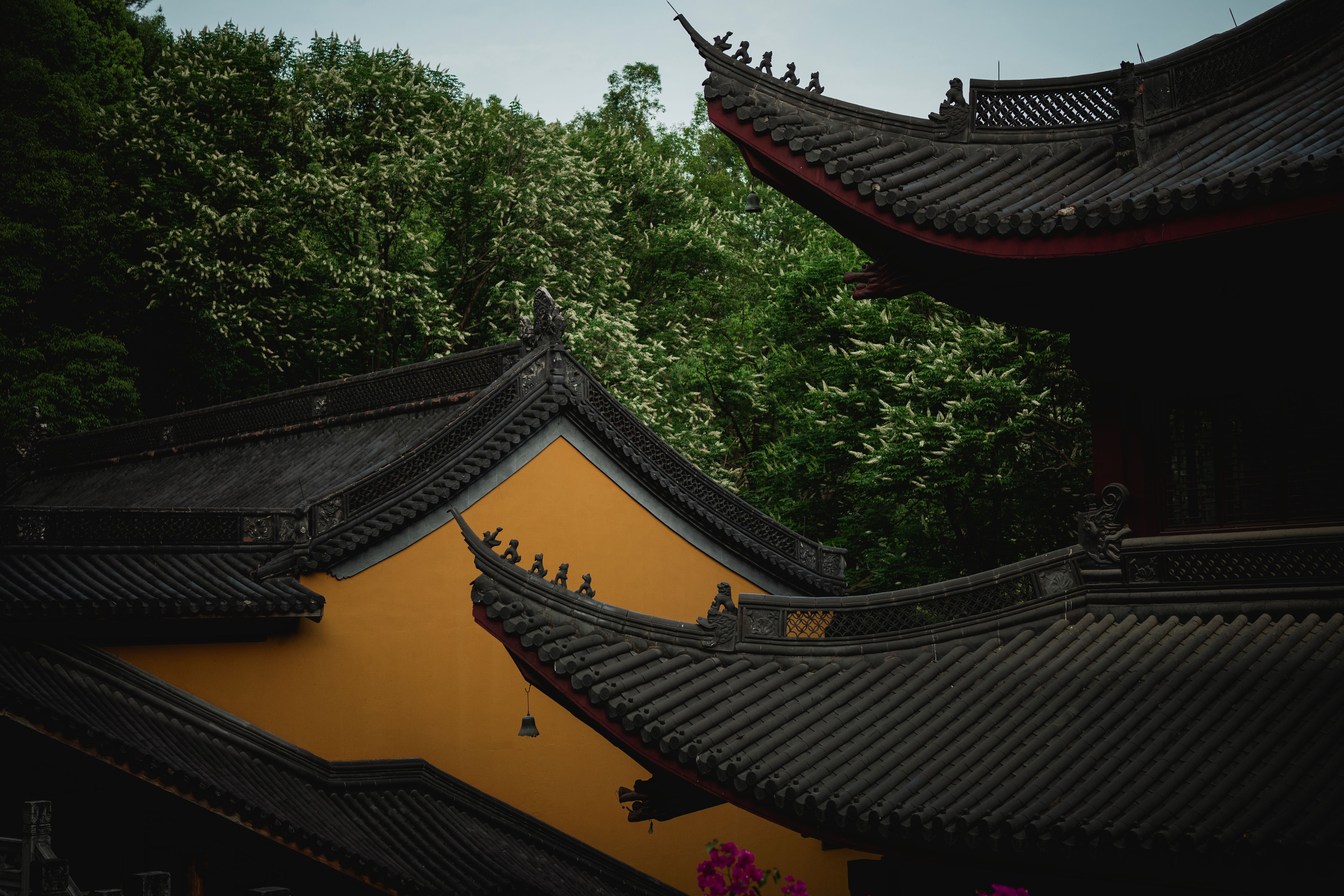 Traditional Asian Architecture Amidst Lush Greenery · Free Stock Photo