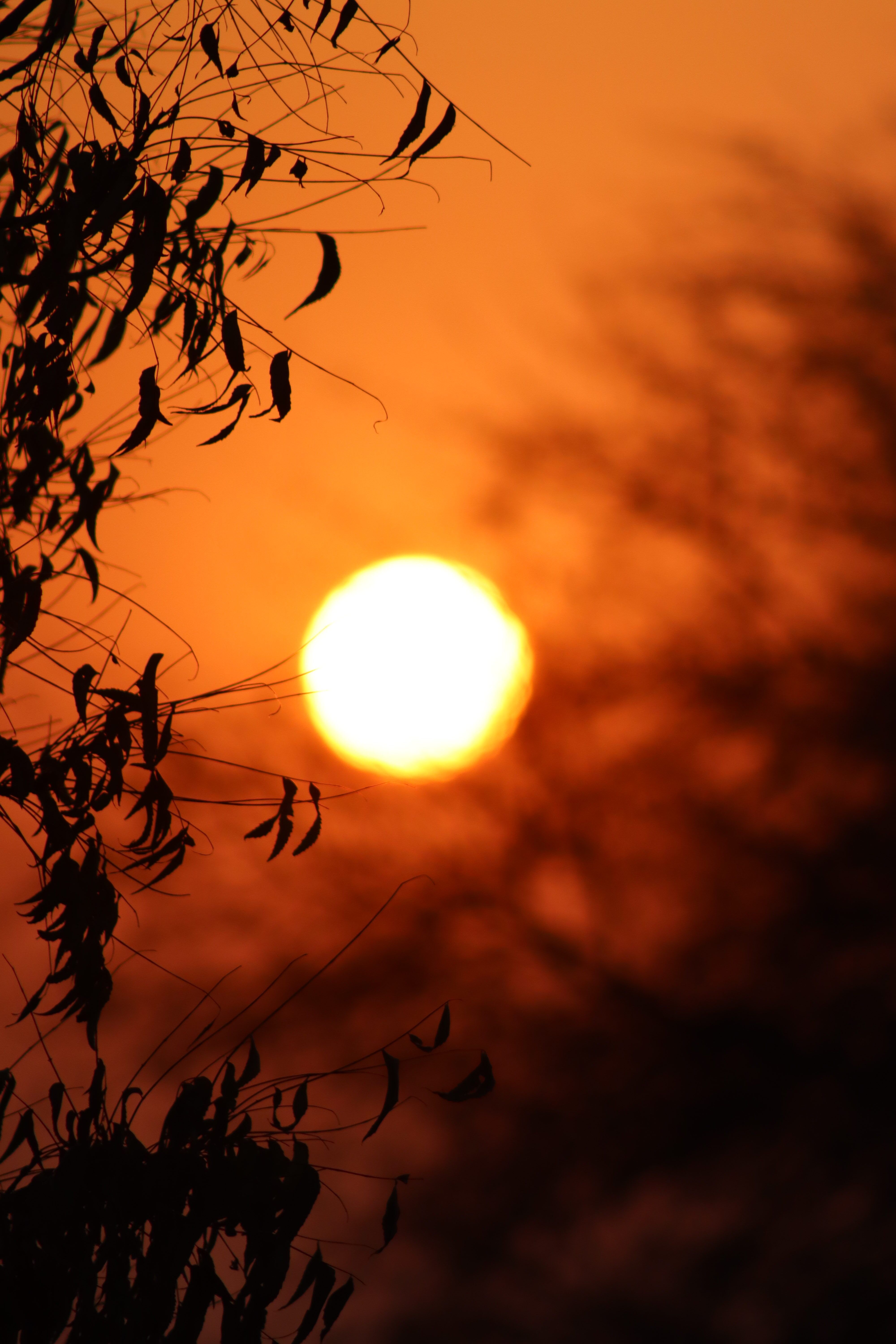 Beautiful Sun Photos, Download The BEST Free Beautiful Sun Stock Photos ...